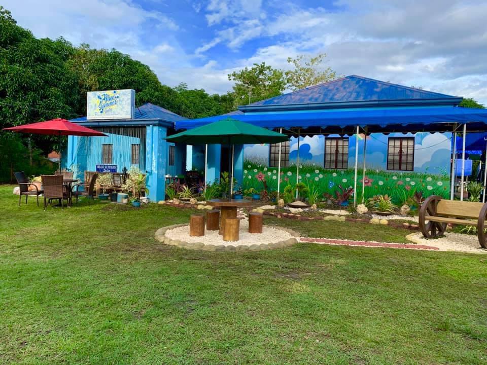 Blue Summer Suites & Restaurant - Panglao