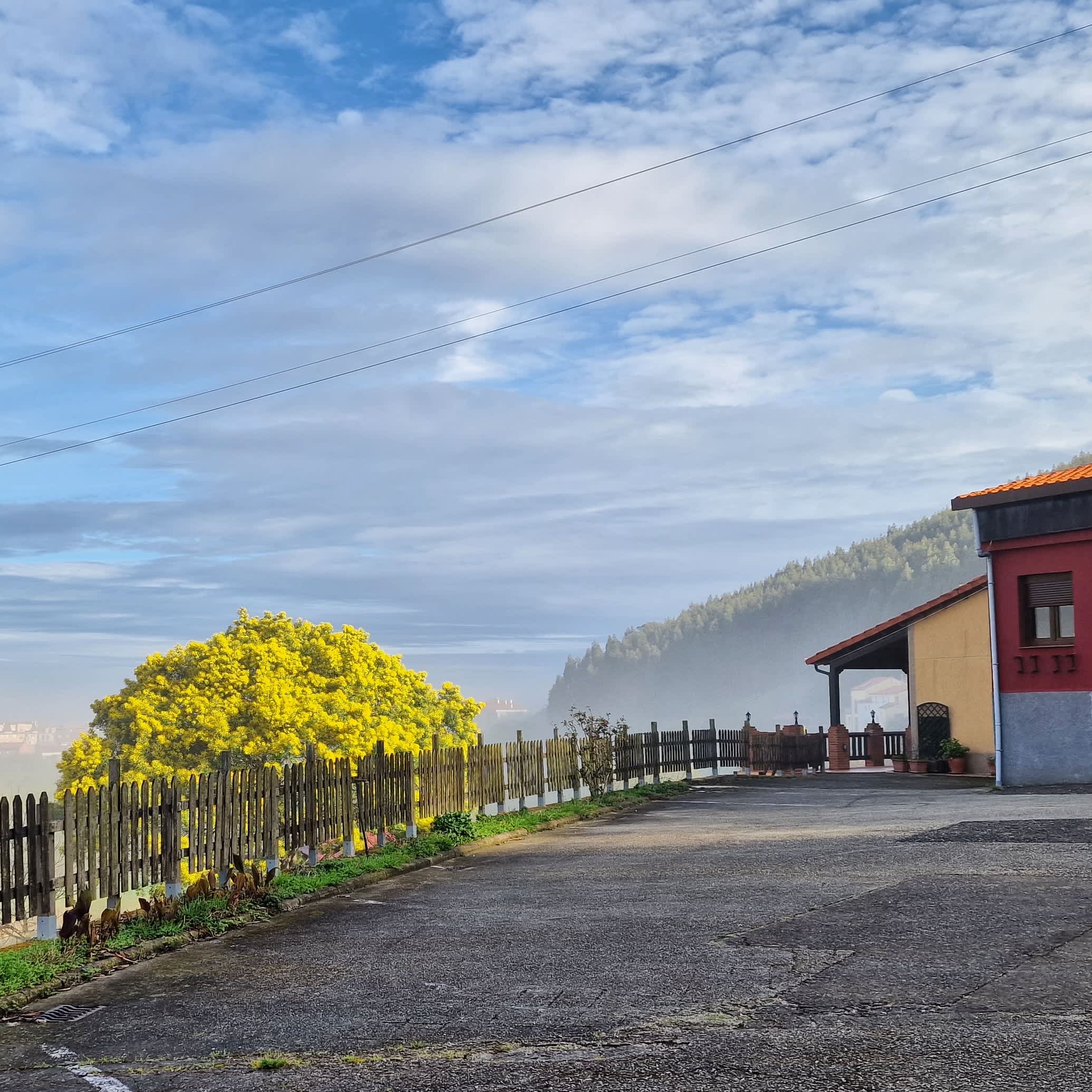 Las Mimosas Del Nalón - San Esteban