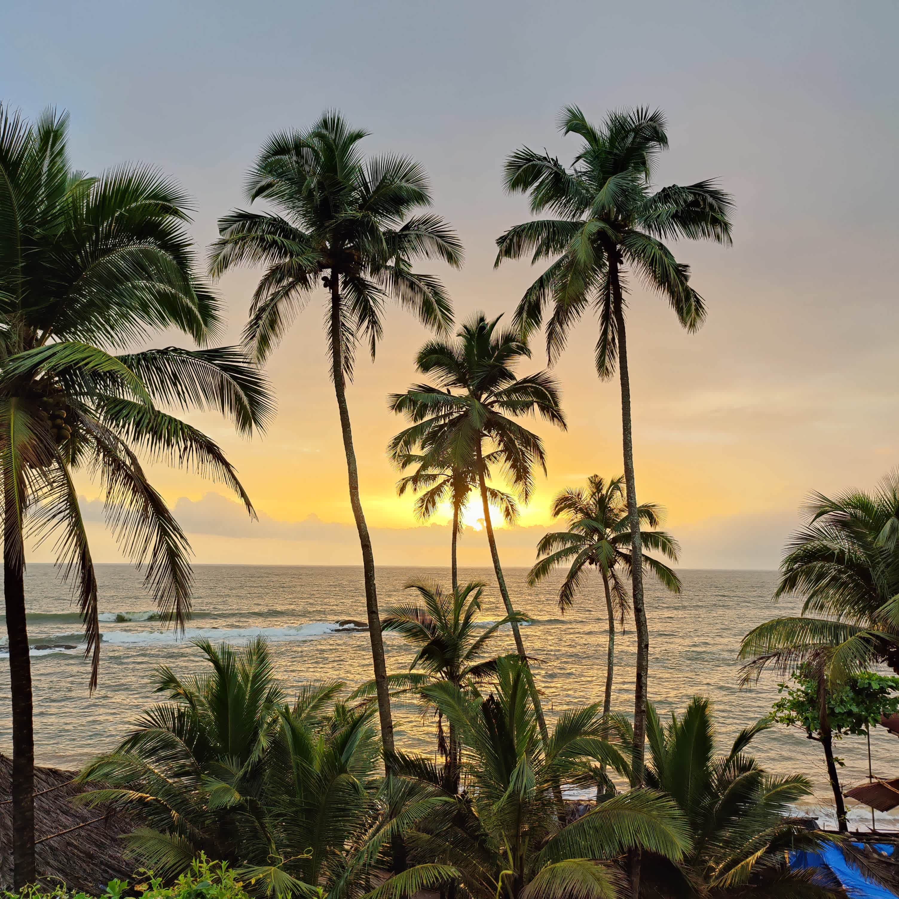 The Yuppi Hippi Hideout - Anjuna