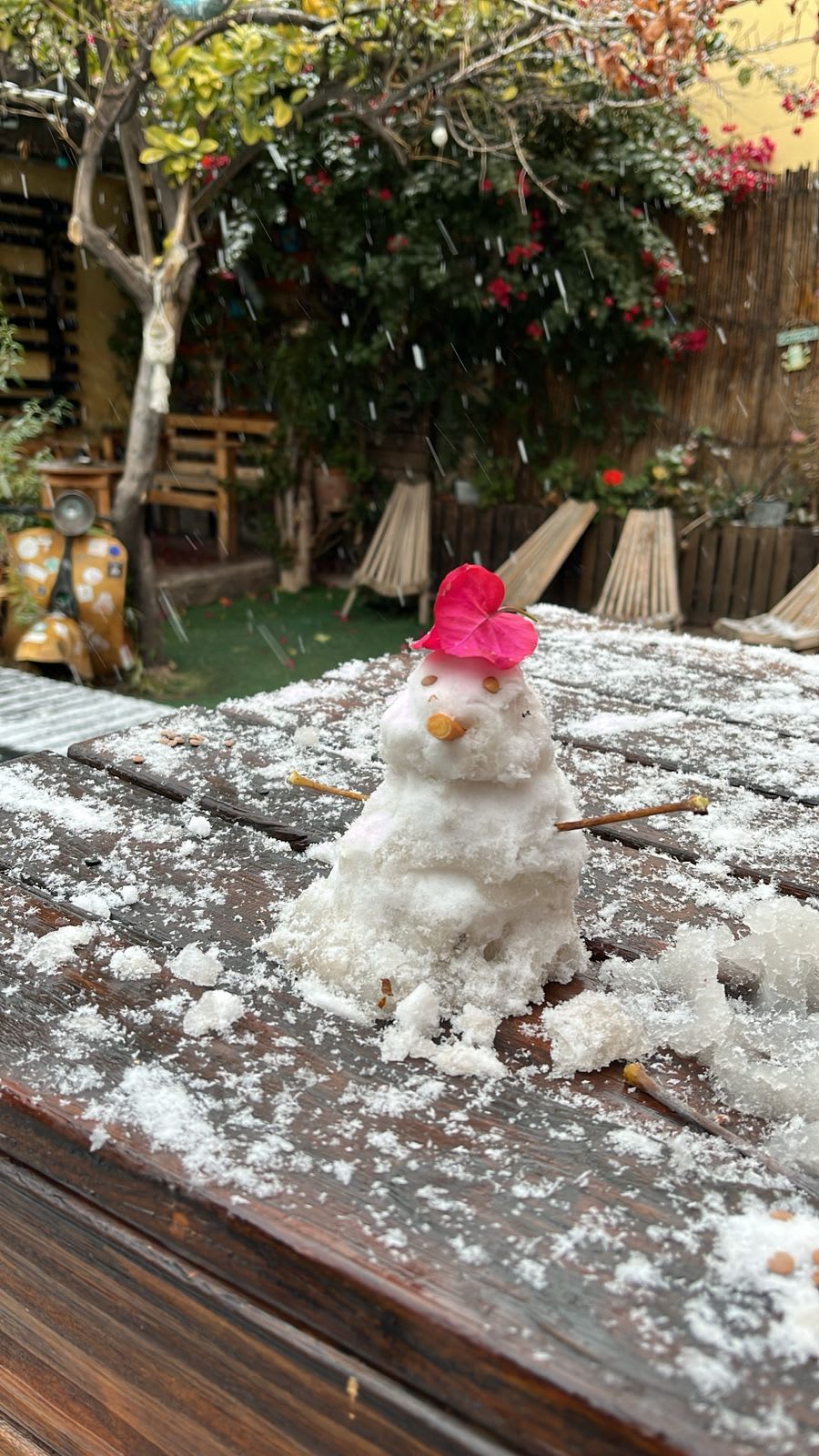 Hostel Estacion Mendoza - Mendoza