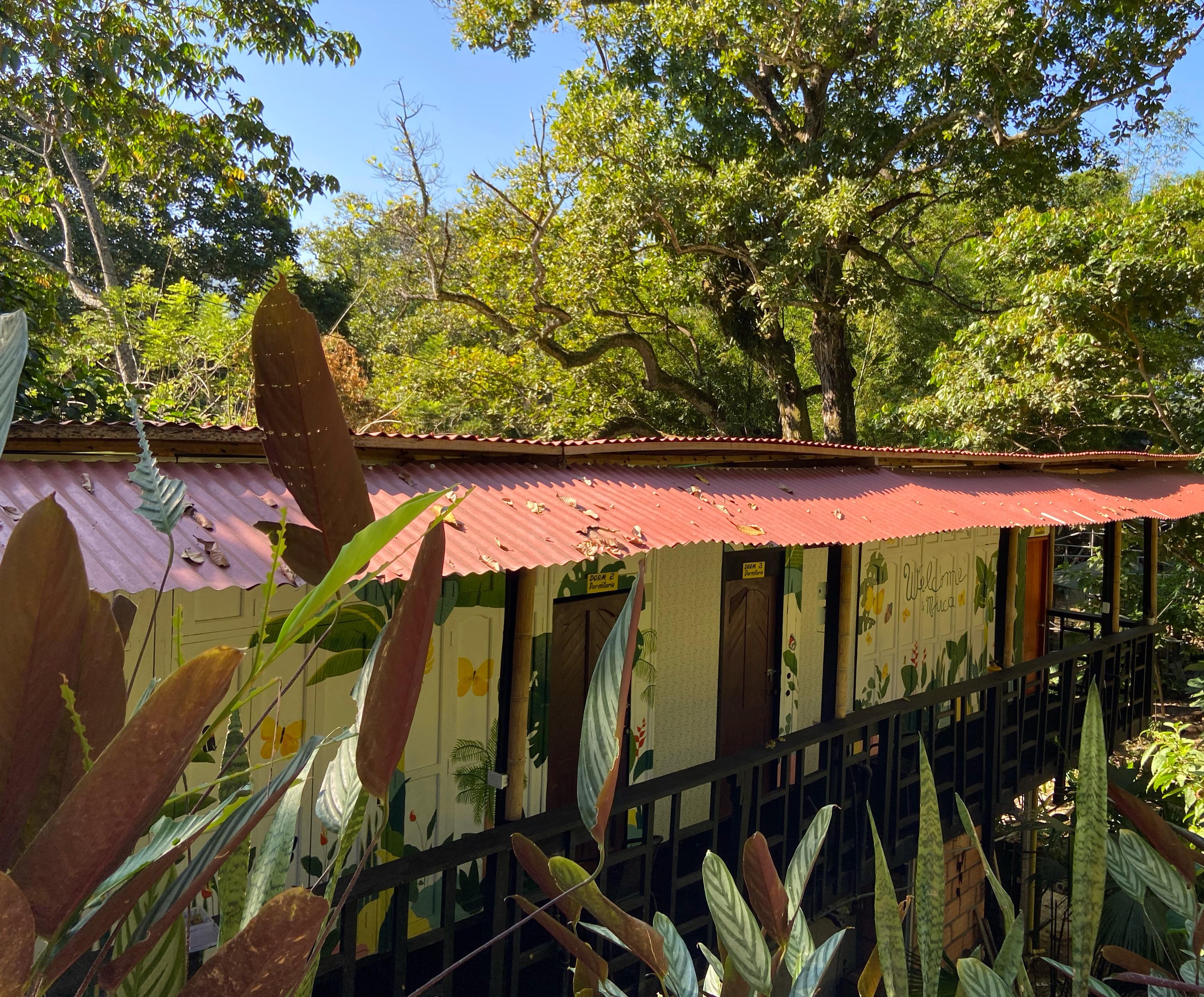 Hostal Las Mariposas Minca - Minca