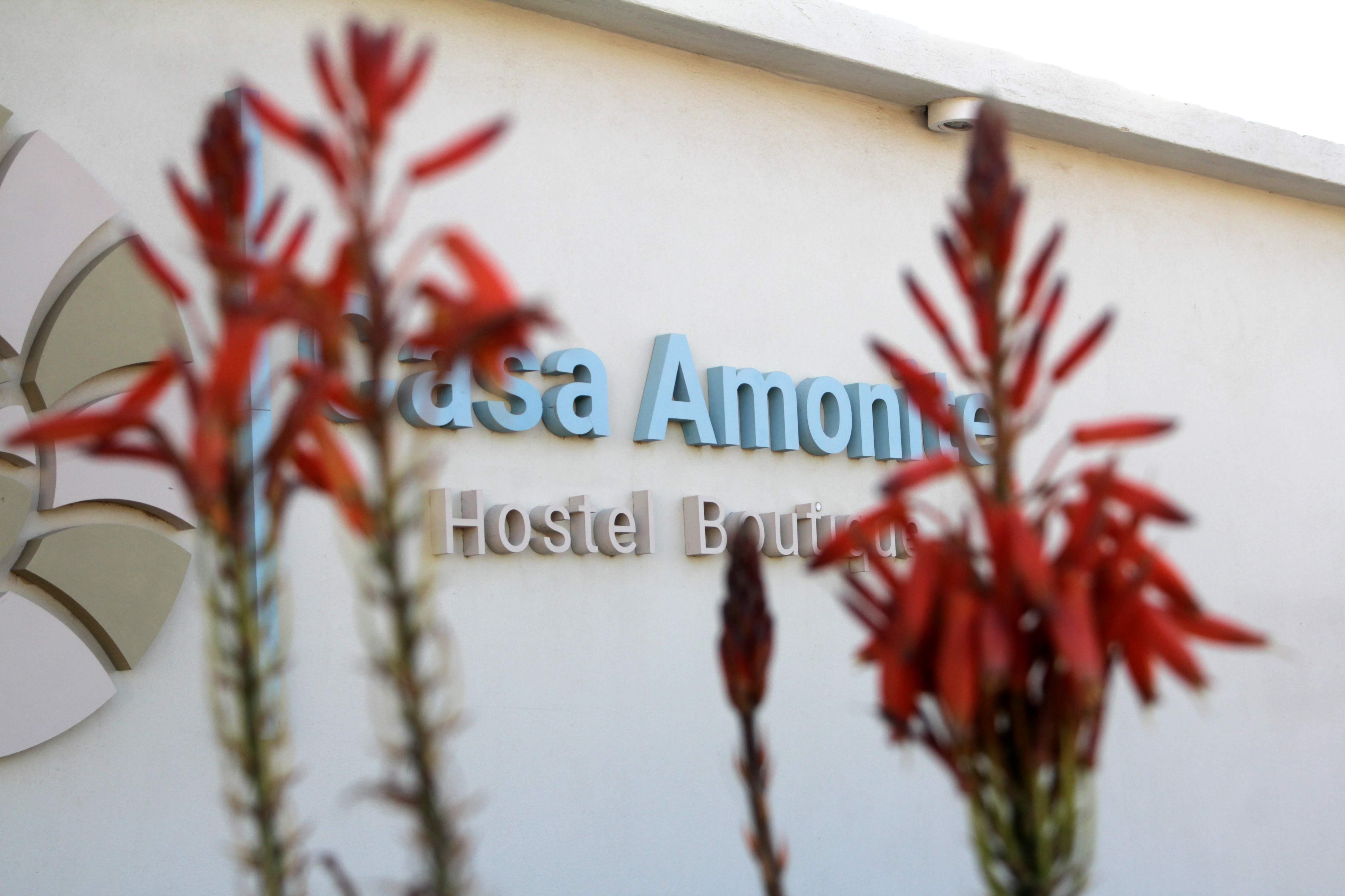 Casa Amonite Hostel Boutique - Puerto Madryn