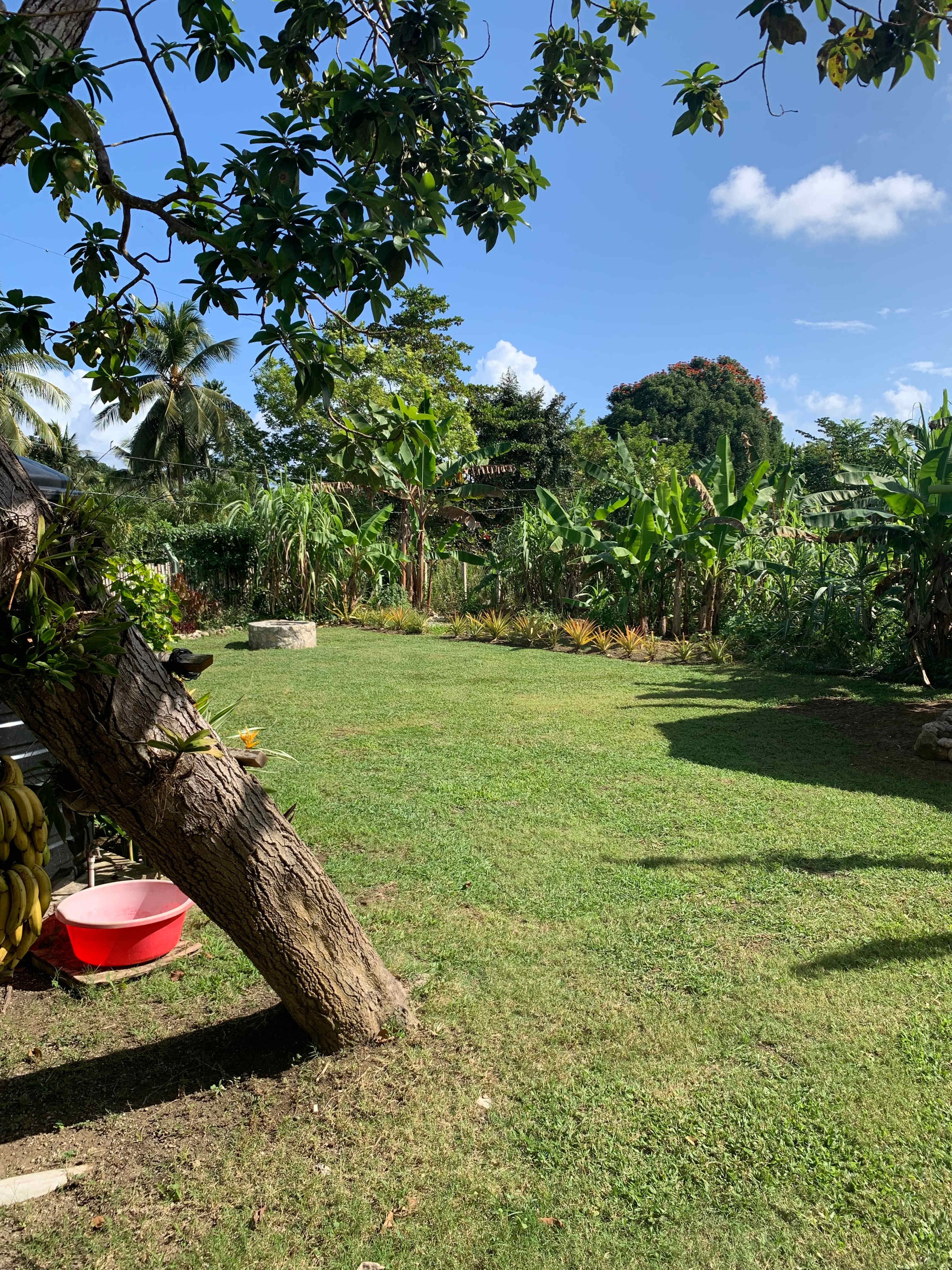 Green Queendom Farm And Lodging - Caribbean