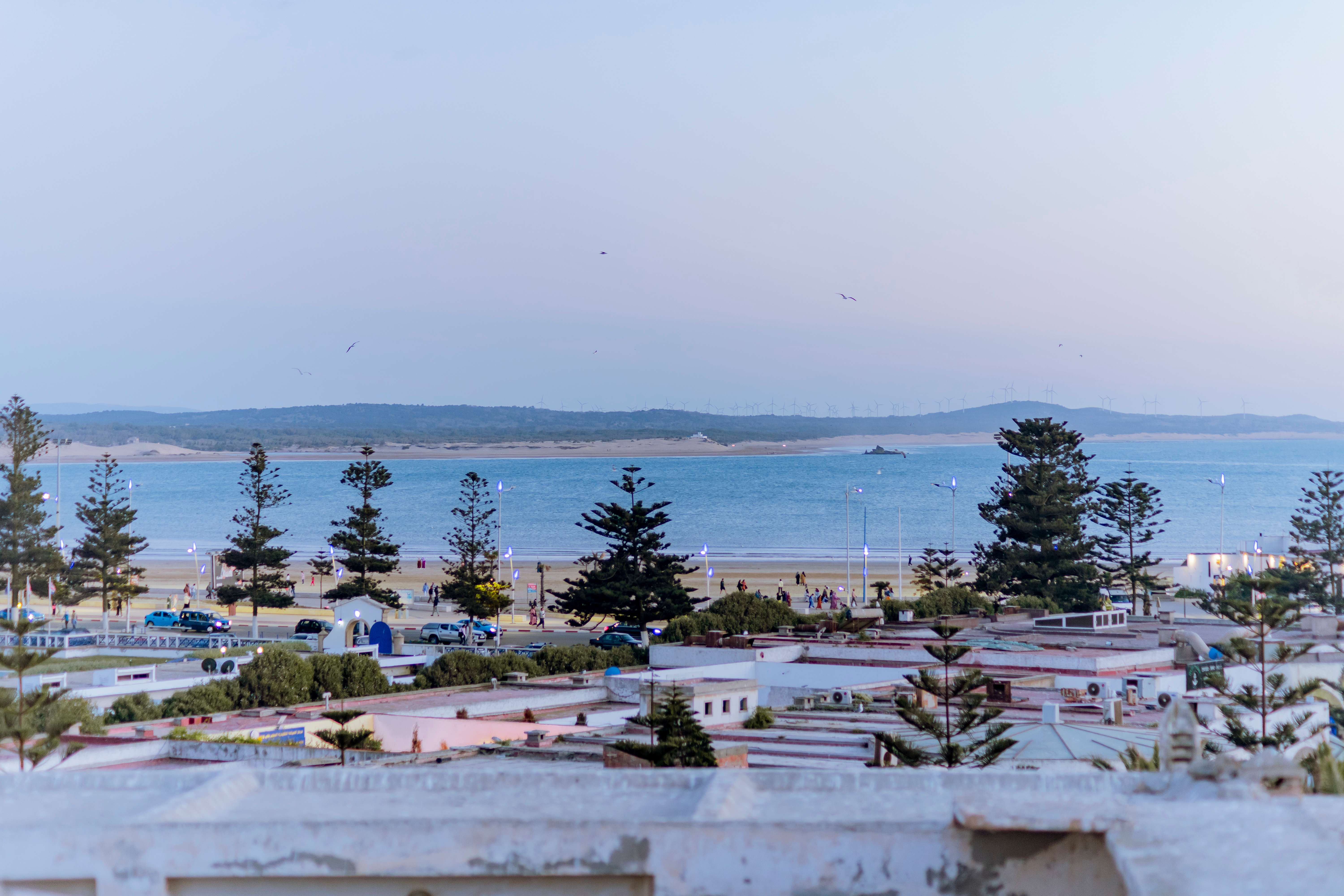 Giraffe Hostel- Sea View Rooftop - Essaouira