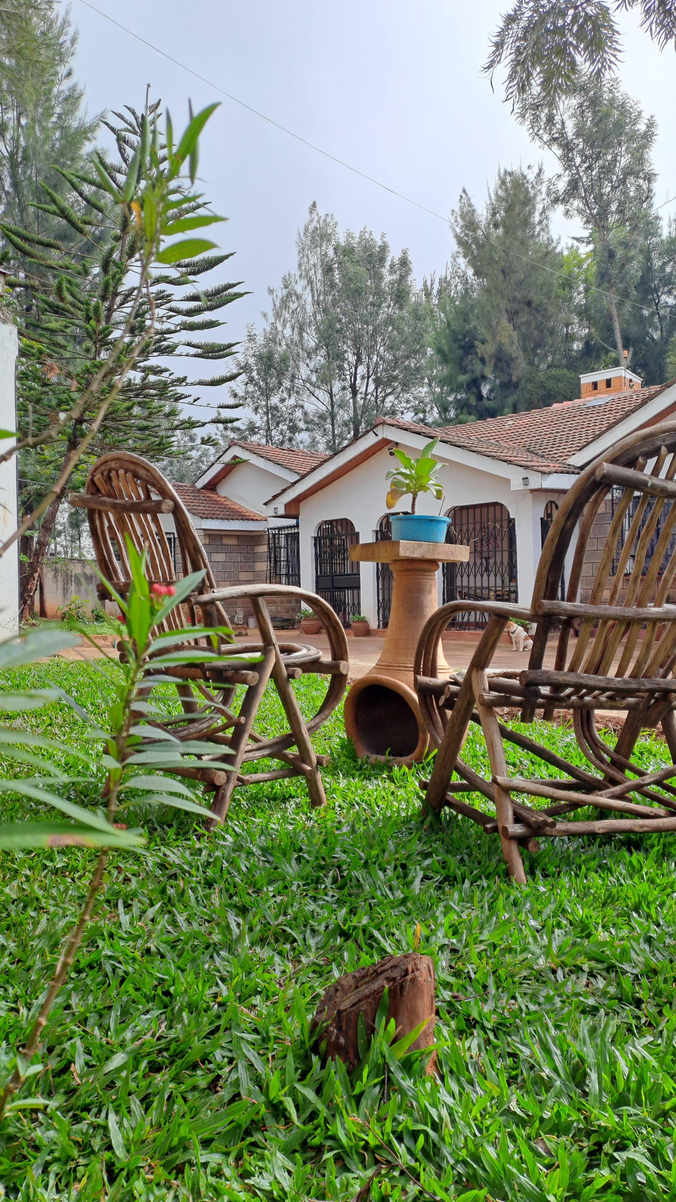 Indovu Back Packers - Nairobi