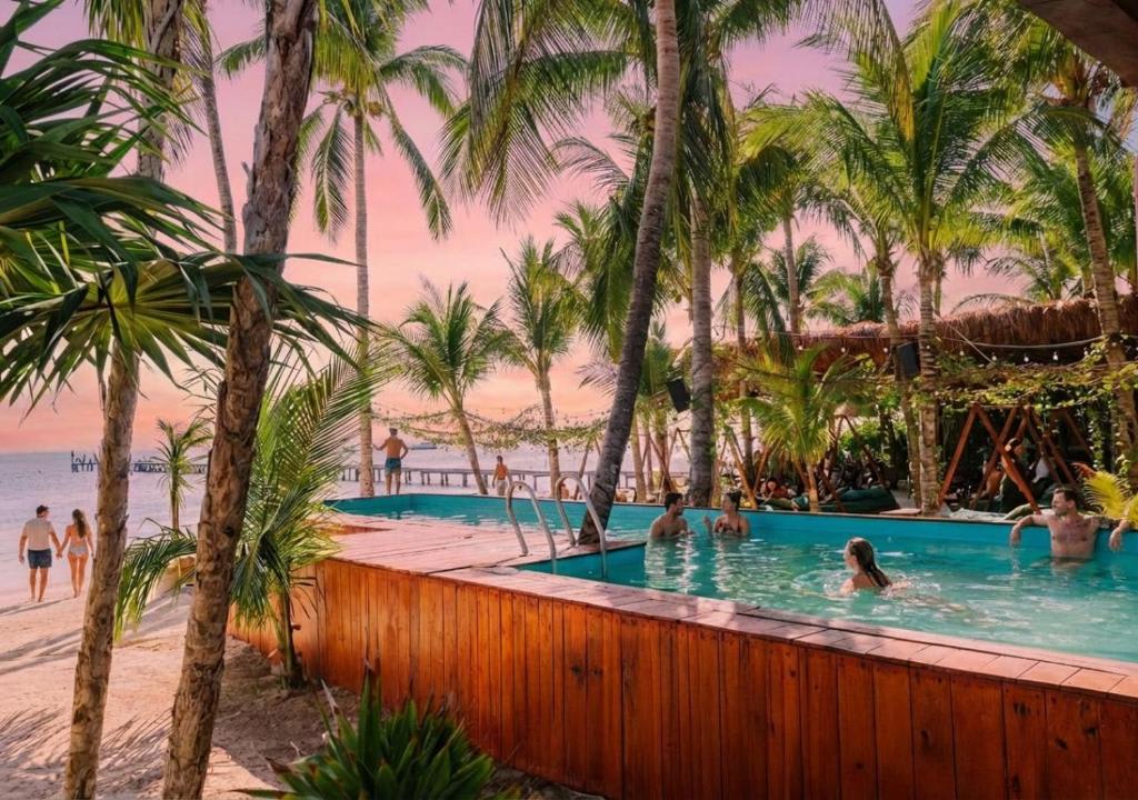 Mayan Monkey Isla Mujeres - Isla Mujeres