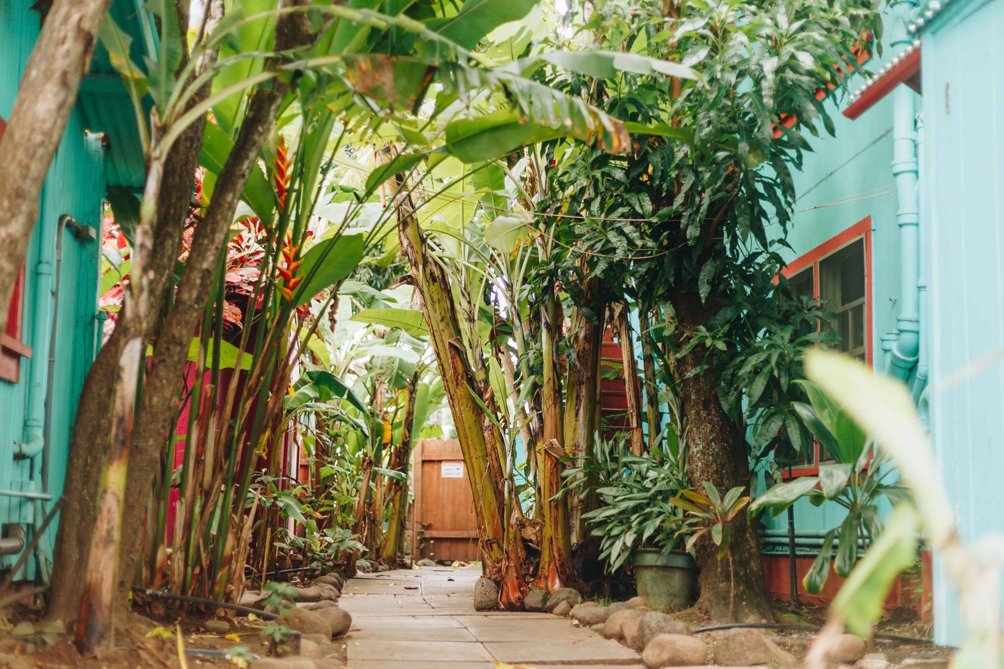 Banana Bungalow Maui Hostel - Hawaii