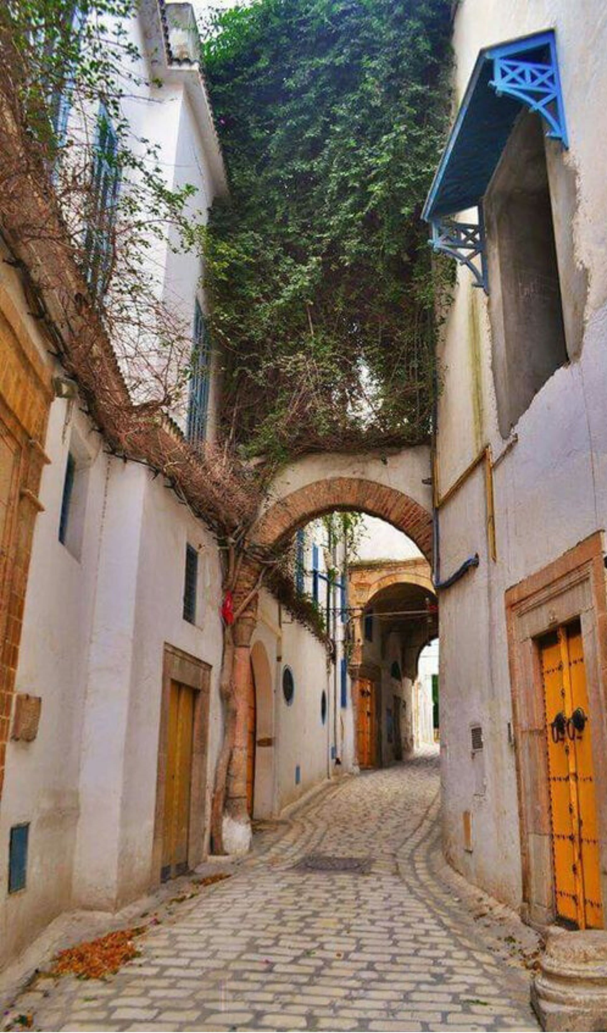 Atelier D - Tunis