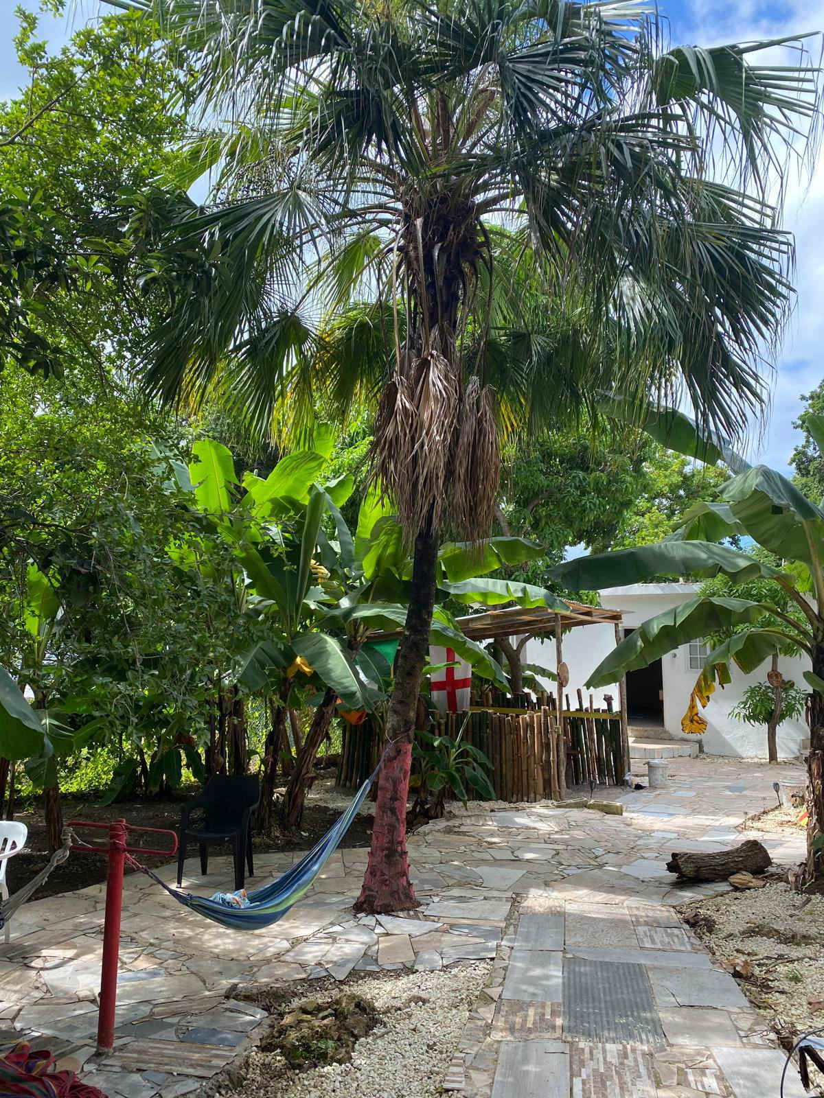 Inez Roots Hostel - Montego Bay