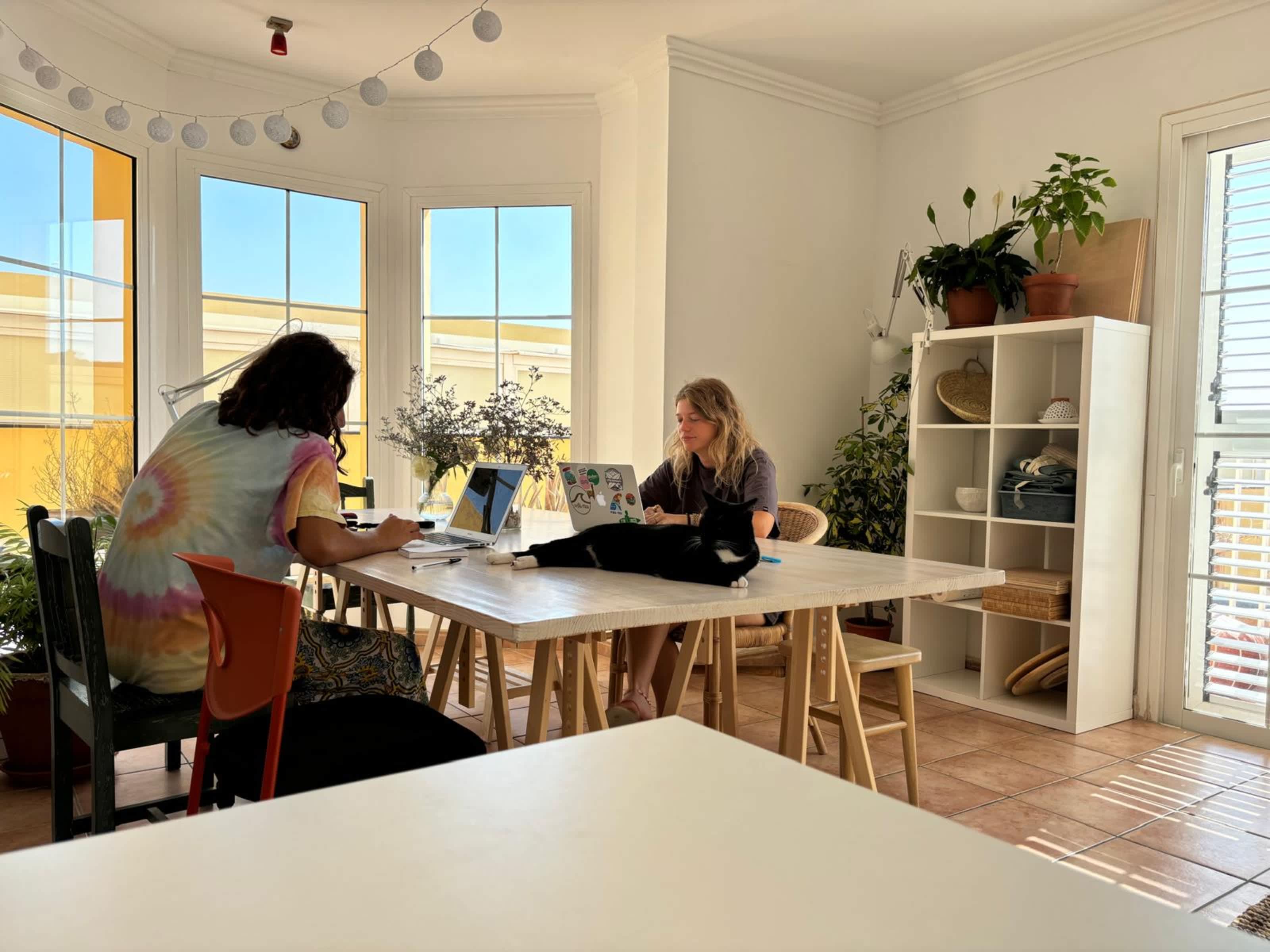 Integral Coliving Tenerife - El Médano