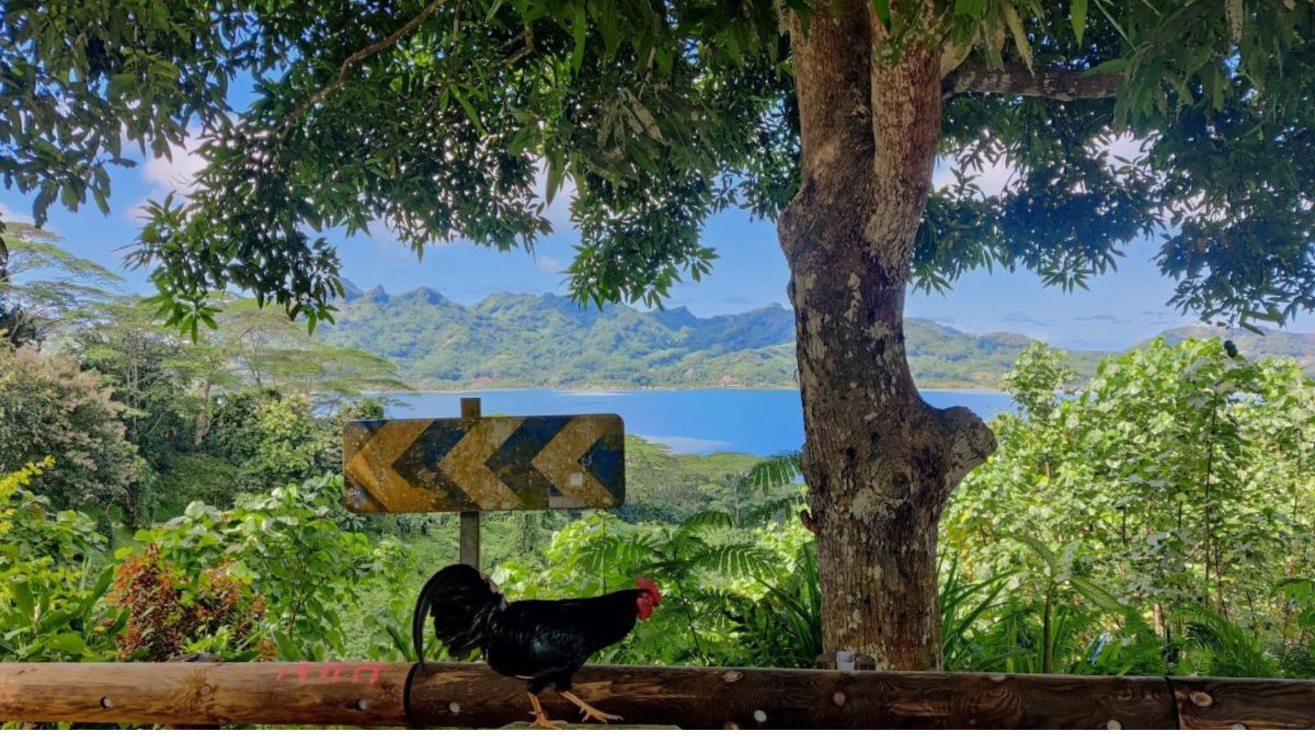 Alaroots Huahine - French Polynesia