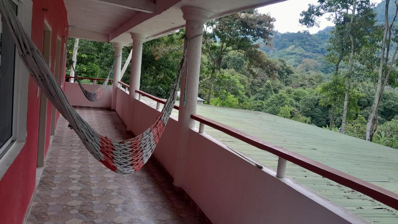 Hostal La Gran Ceci - Minca