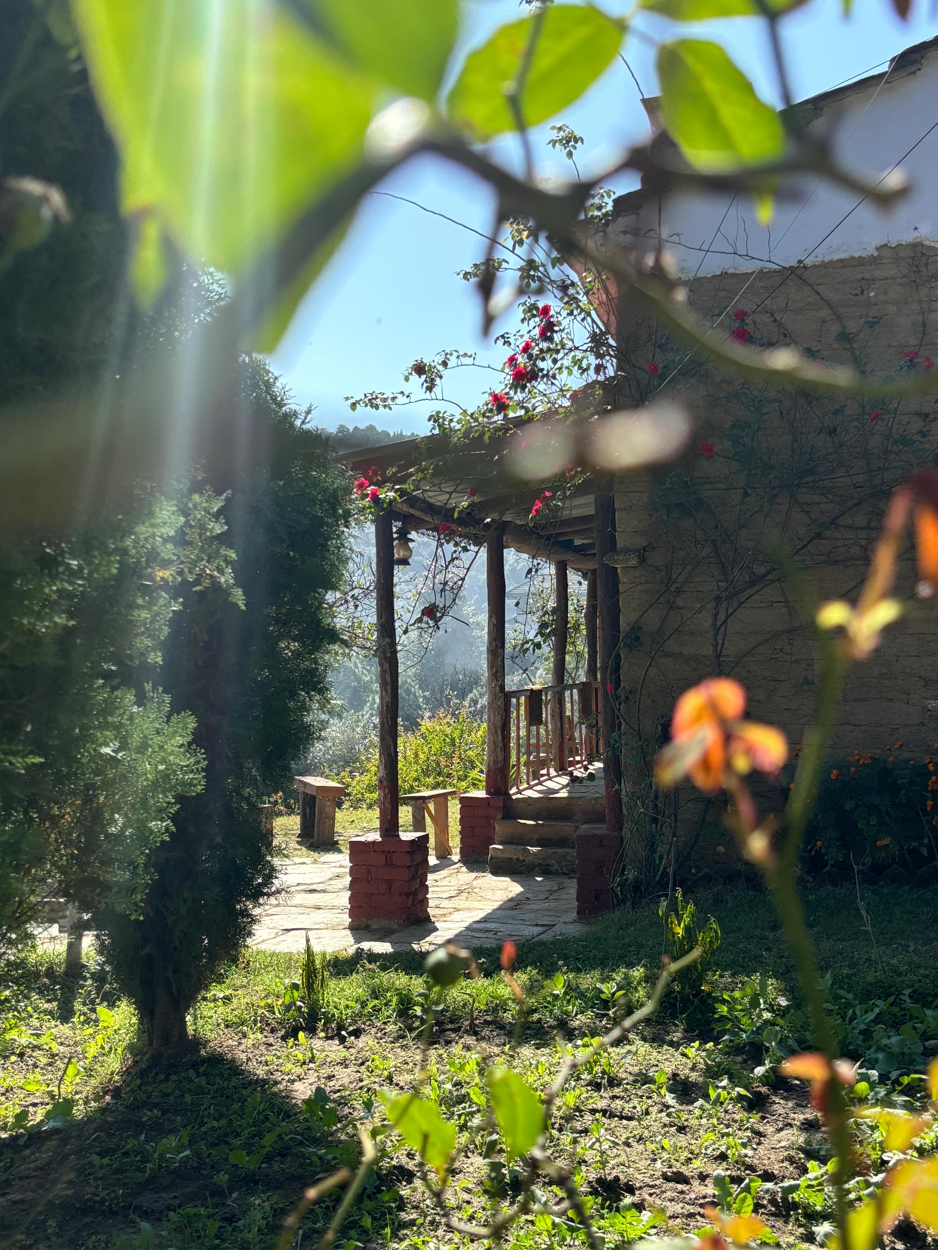 Maati Living Mukteshwar - Mukteshwar