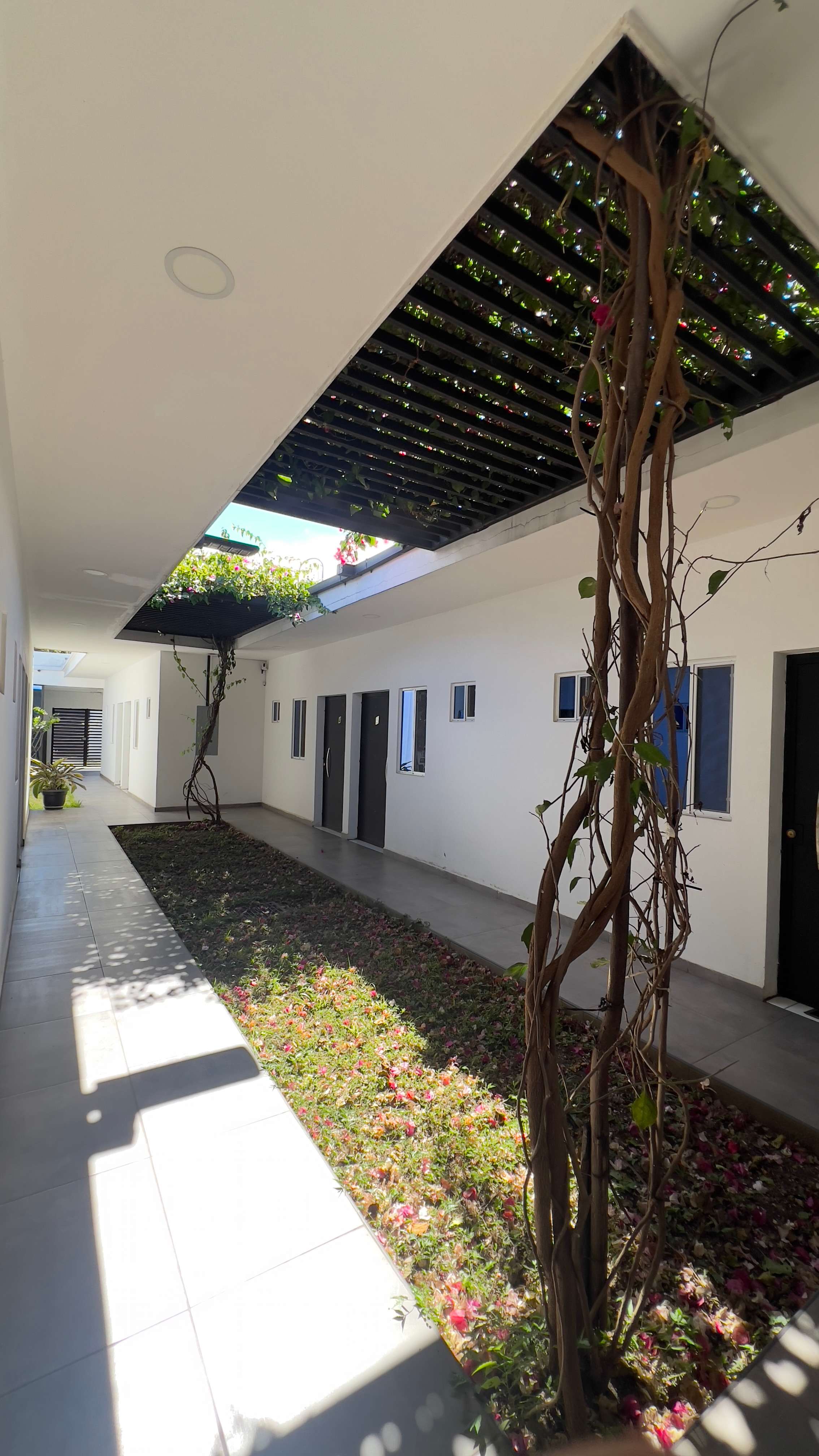 Hostel Happies Santa Ana - Santa Ana