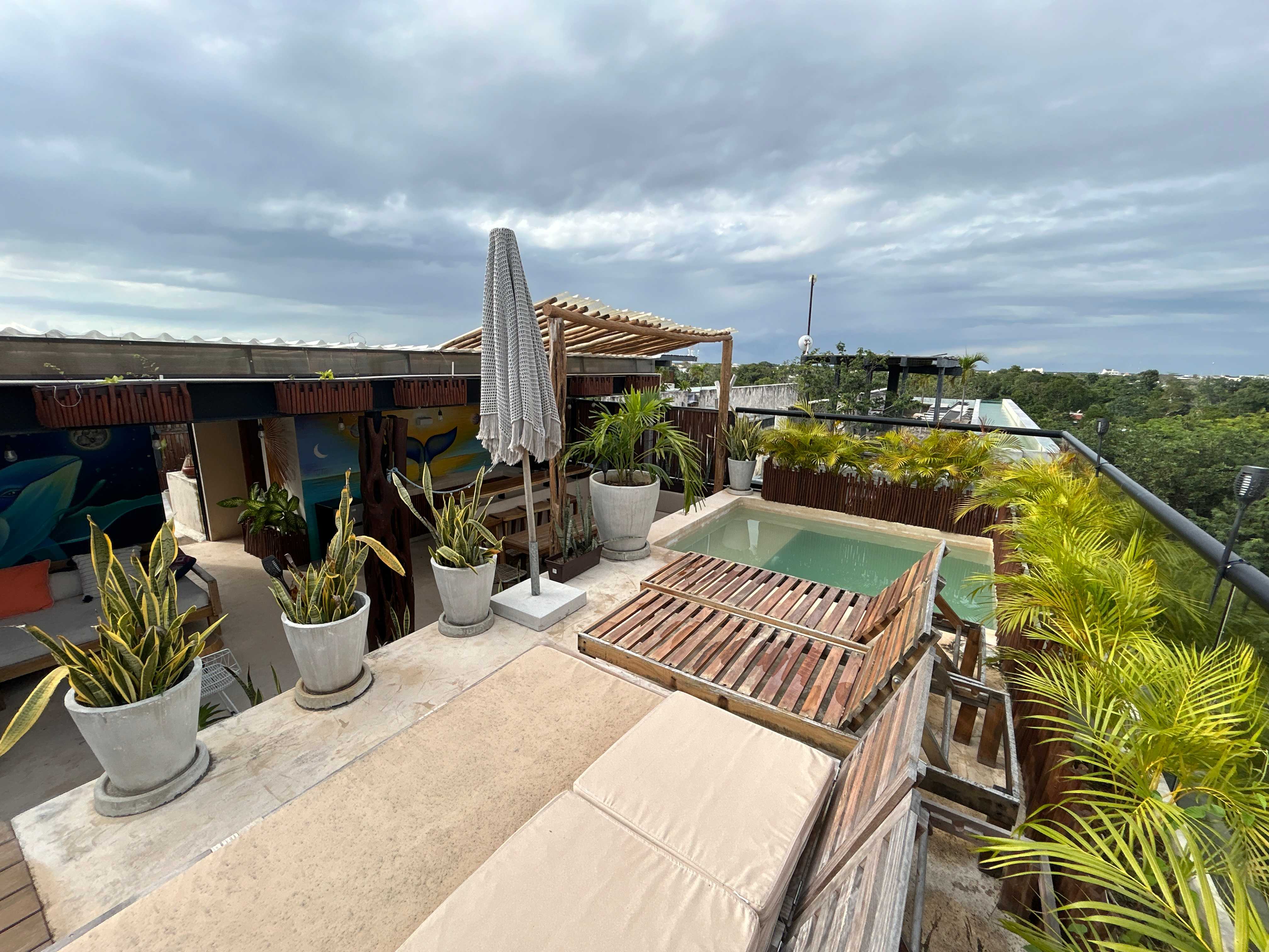 Selva - Tulum