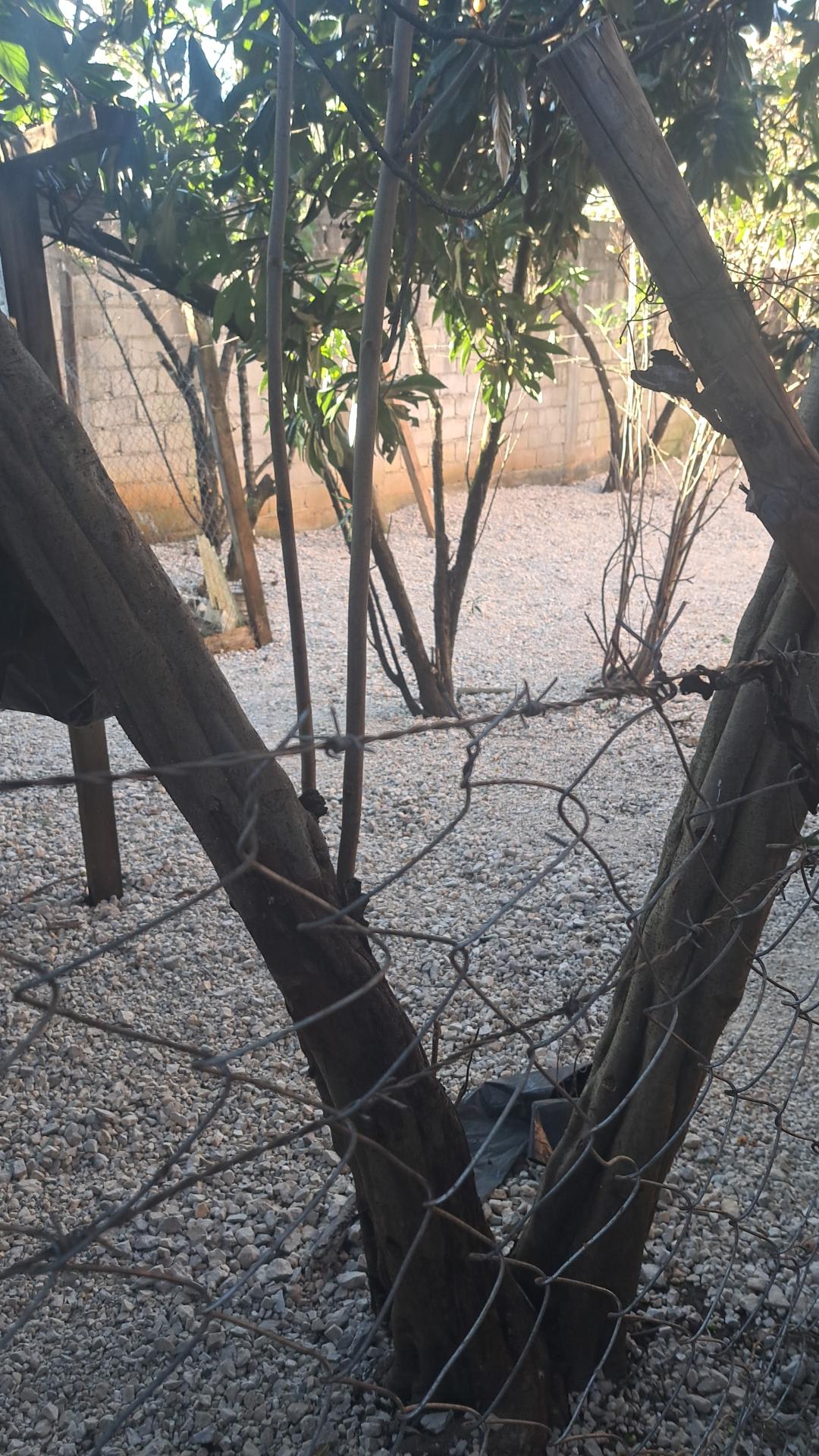 Cabanas Hernandez - San Cristóbal de las Casas