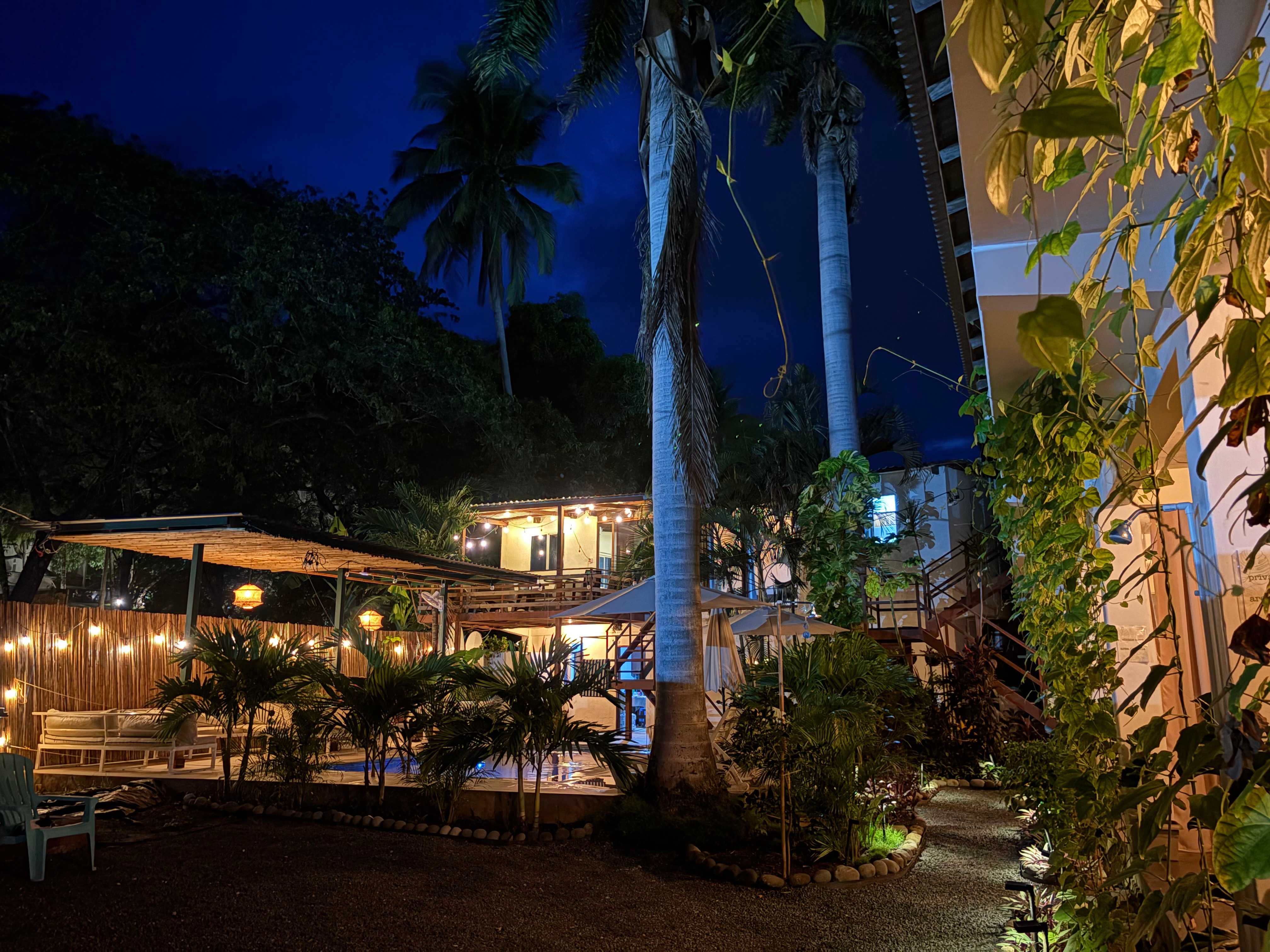 Dos Palmas - La Libertad