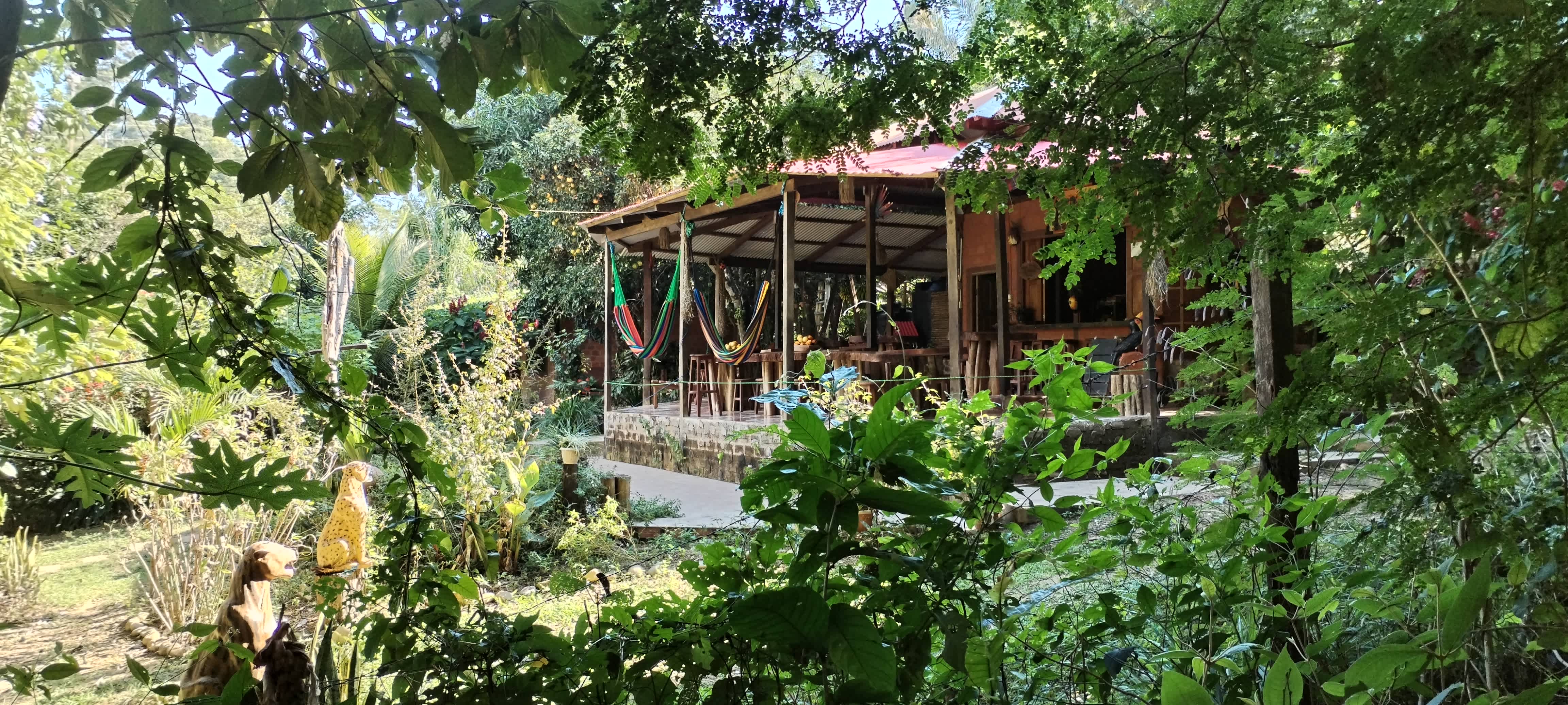 Mirador Jungle El Macuti - Bolivia