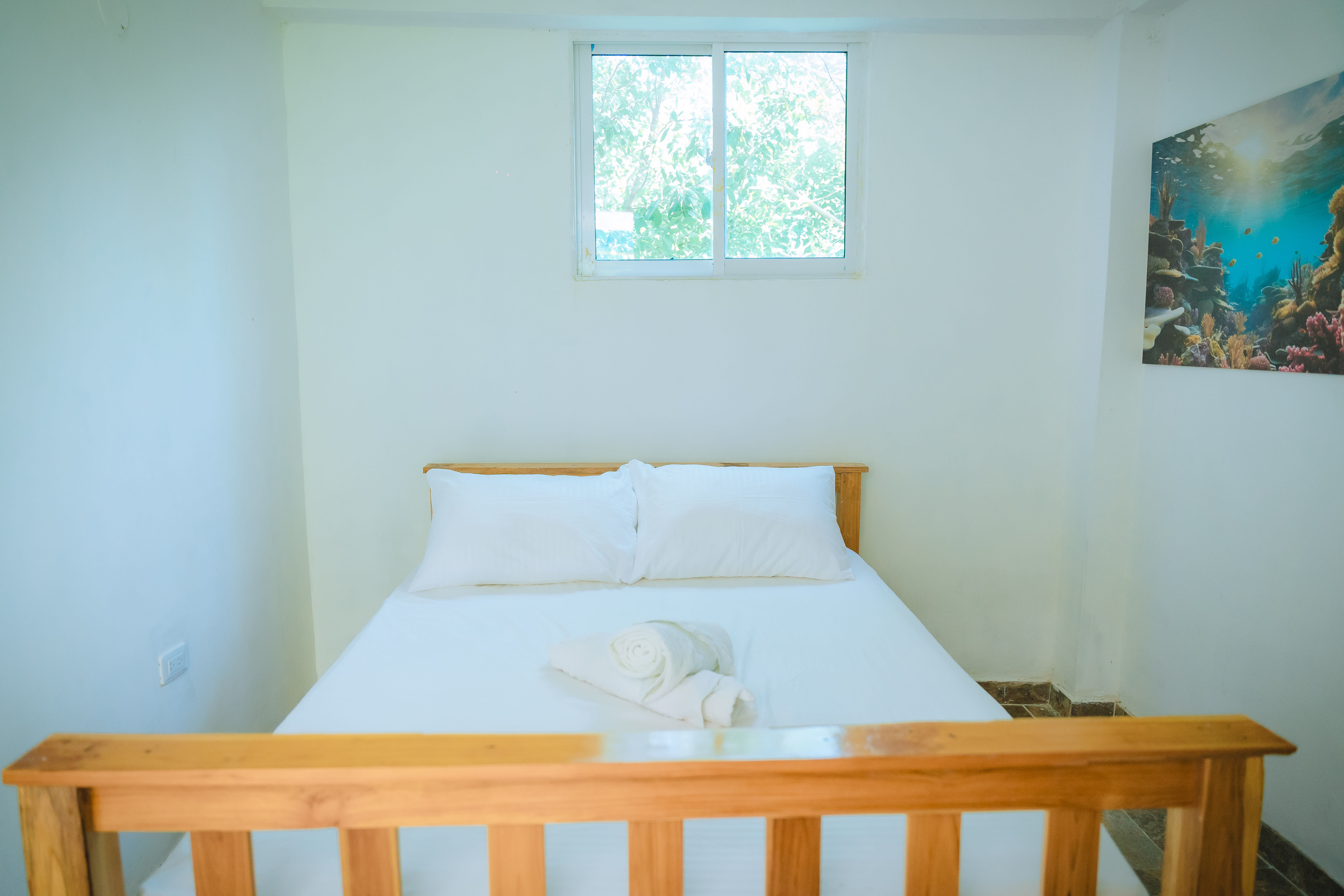 Perla Negra - House Hostel - Cartagena