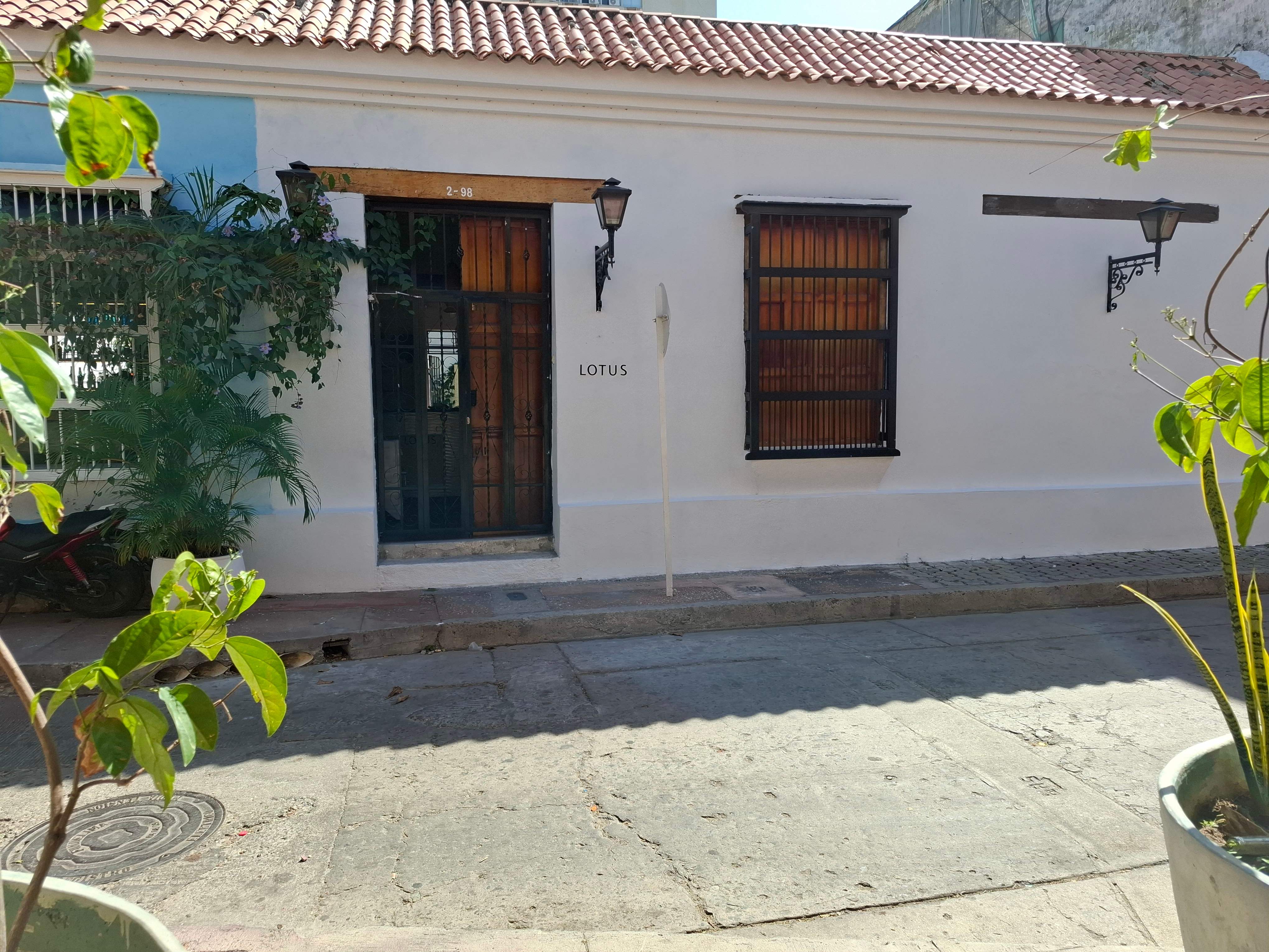 Lotus Central - Santa Marta