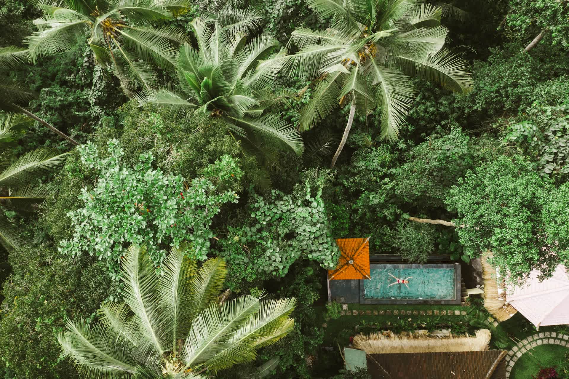 The Nest In Ubud, Bembengan Cottages - Ubud