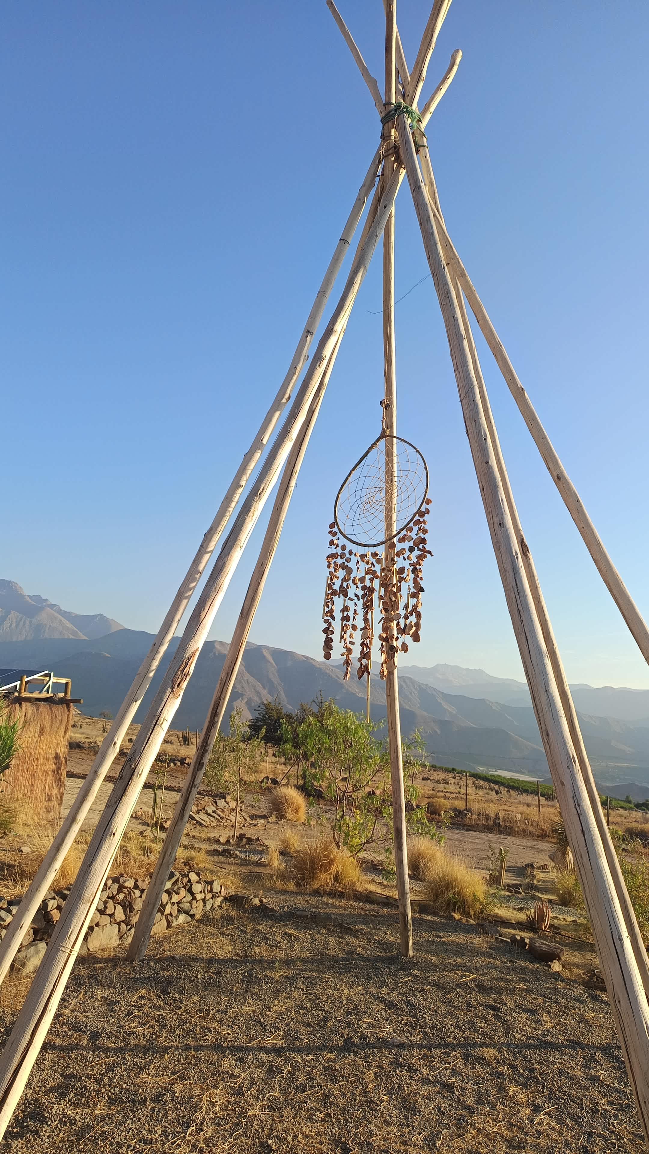 Campo De Cielo - Vicuña