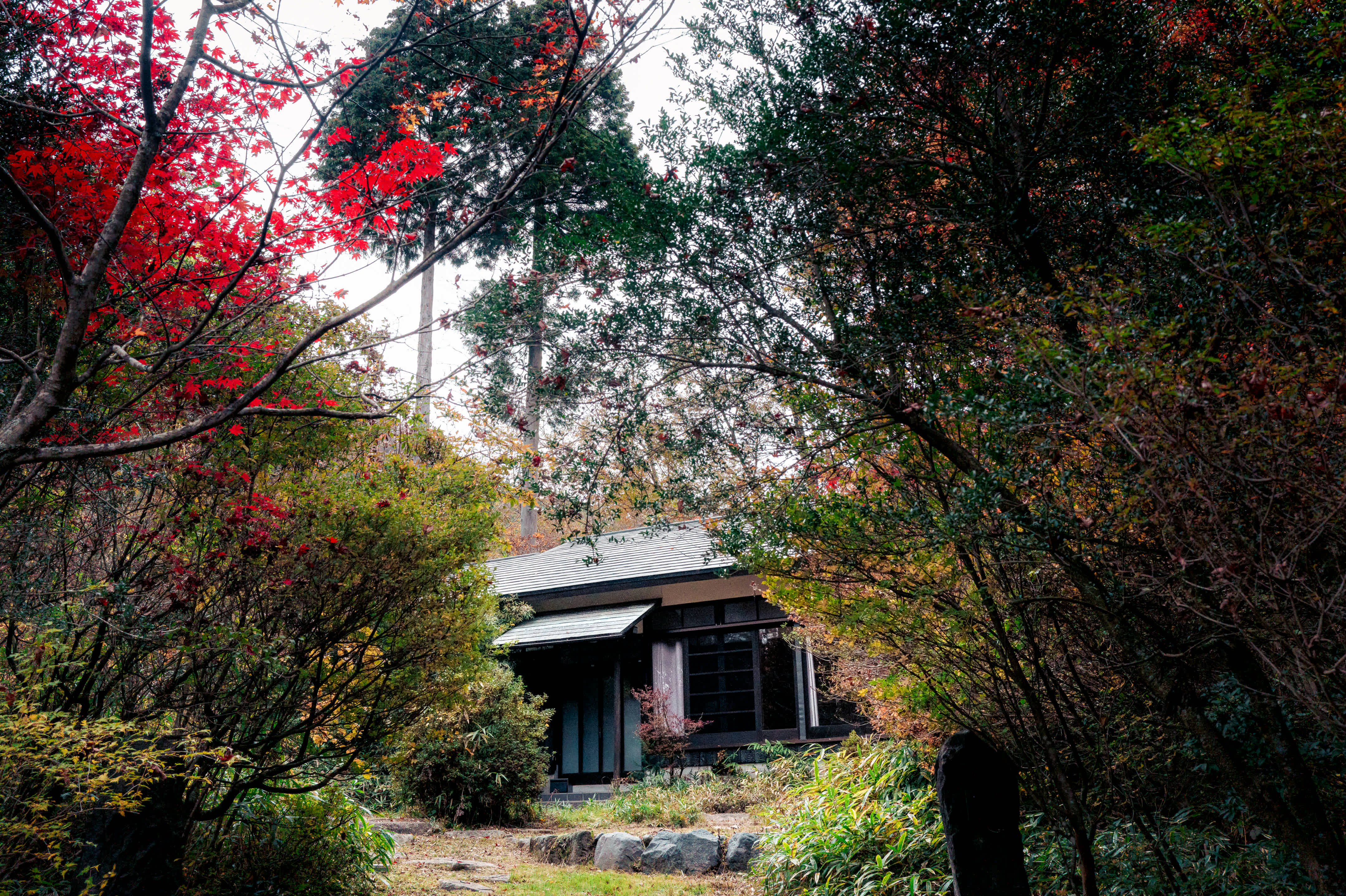 Exp._atelier - Fuji