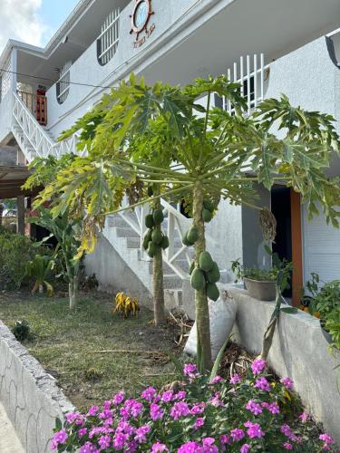 Posada Ontimeview - Providencia
