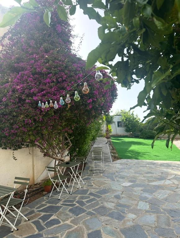 Hostl - Beds & Rooms - The Hostel Inn Paphos - Paphos