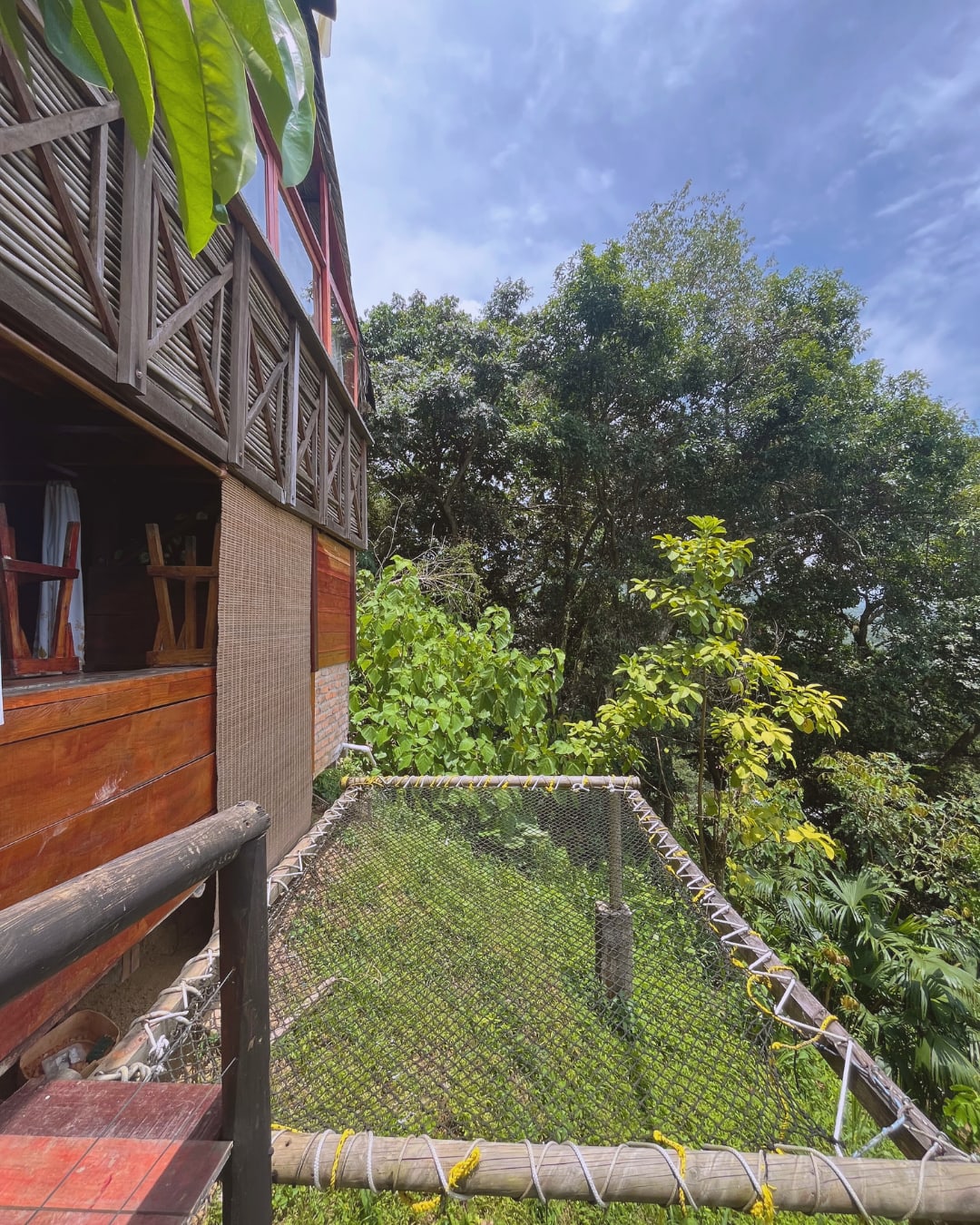 Hostal Colibri Minca - Minca