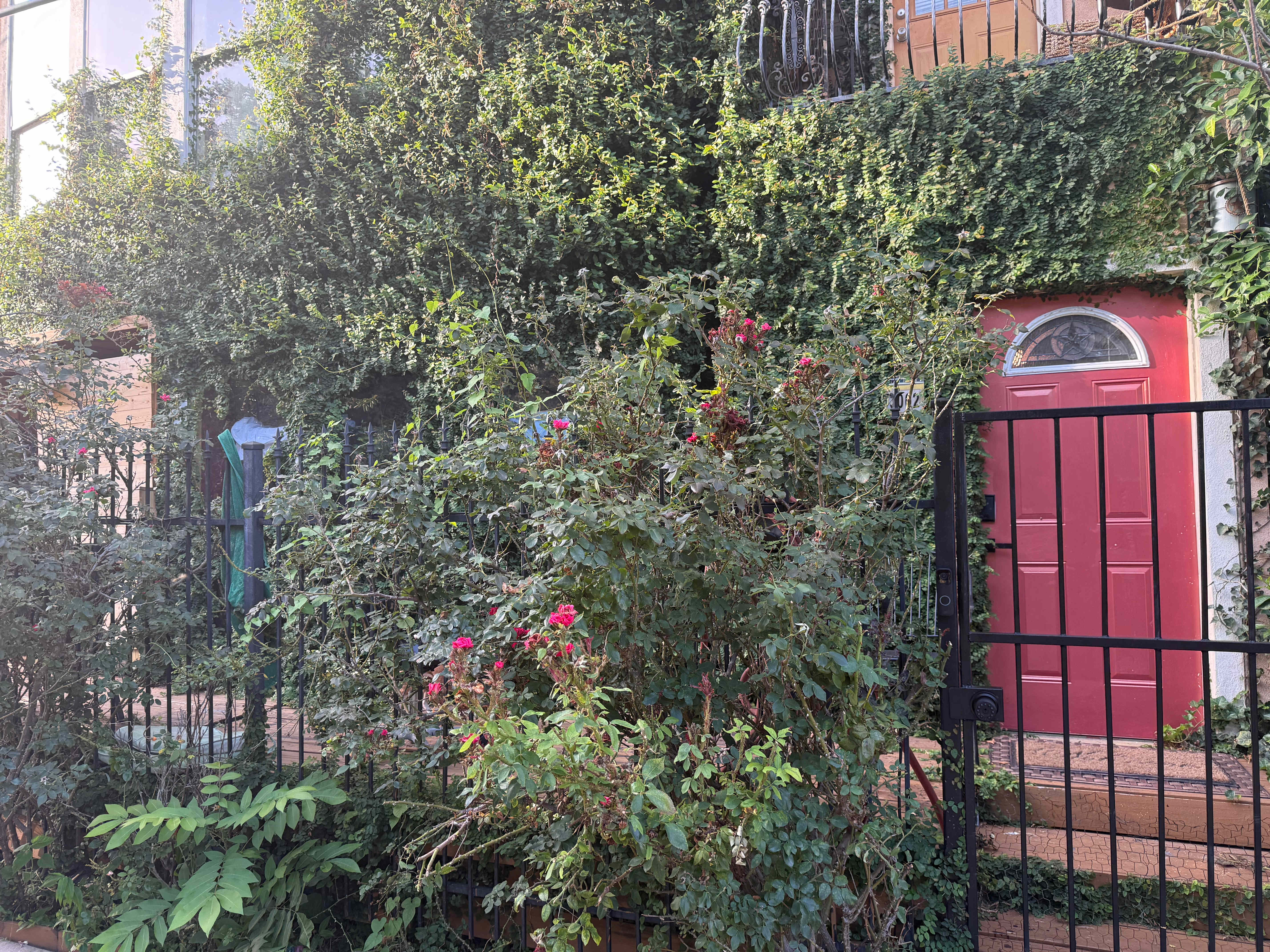 Juan Mon's International Hostel - Houston, TX