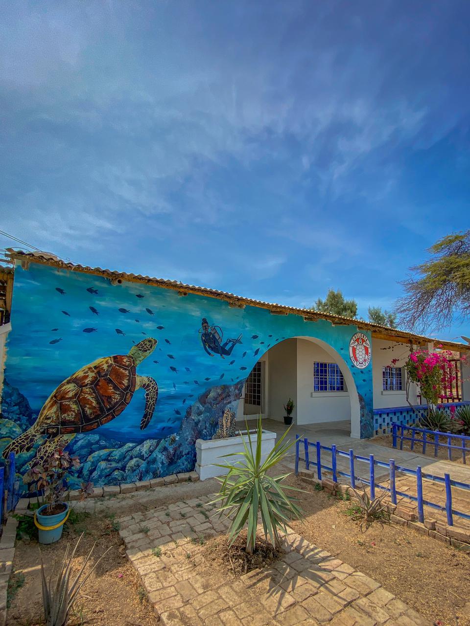 Casa Chelonia - Organos