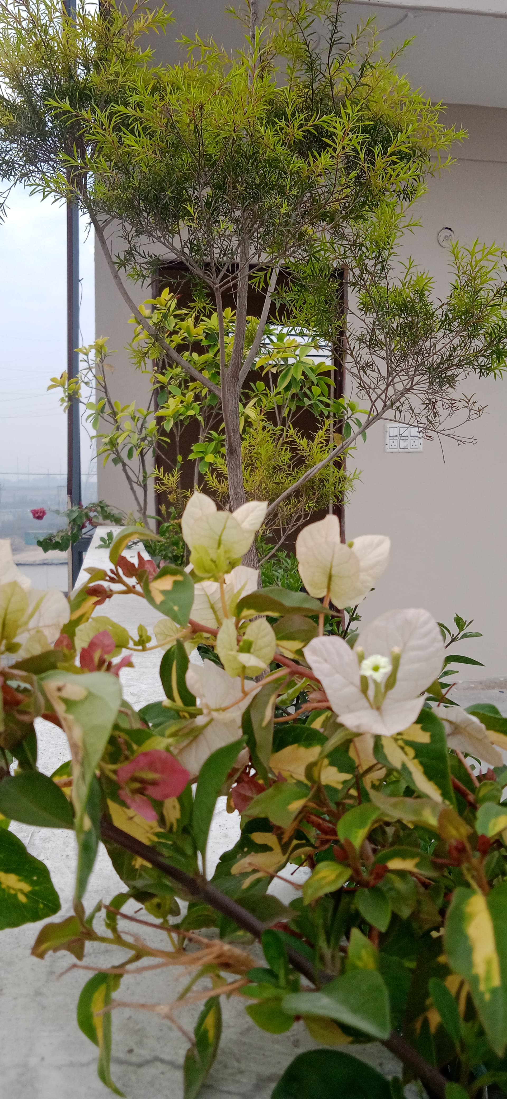 Yogam Homestay Agra - Agra