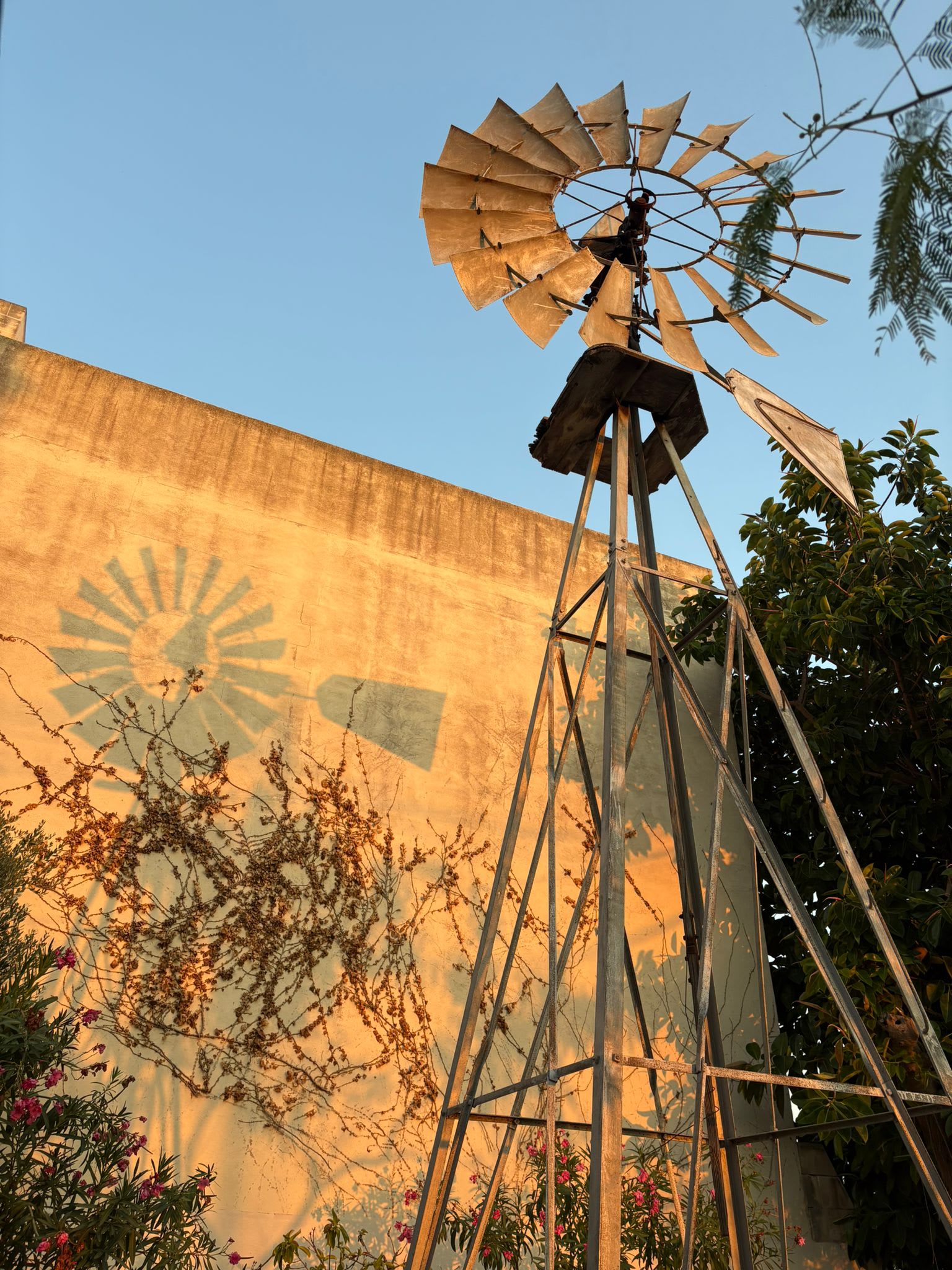 Windmill Hostel - Malta
