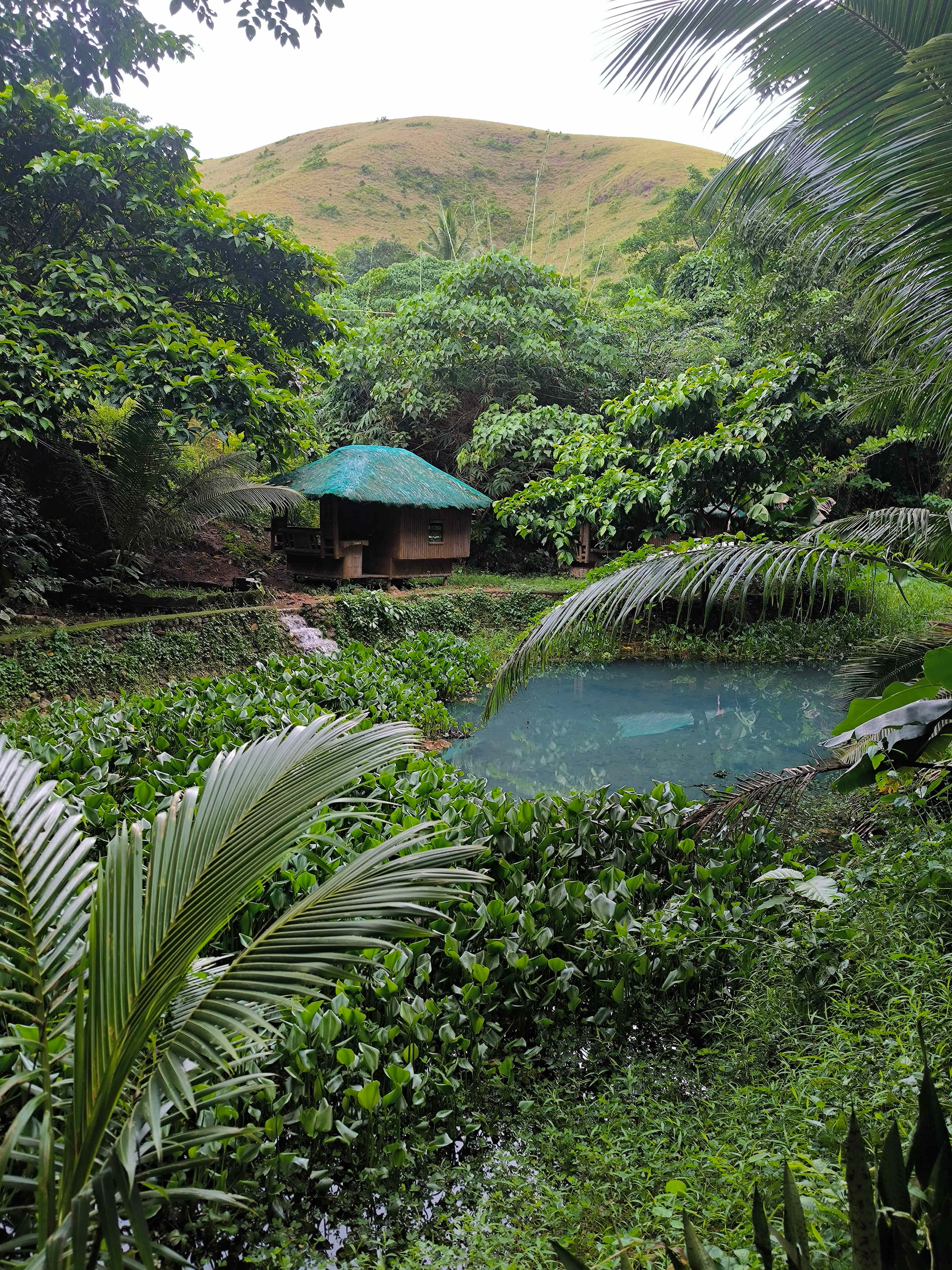 El Bosque - Coron