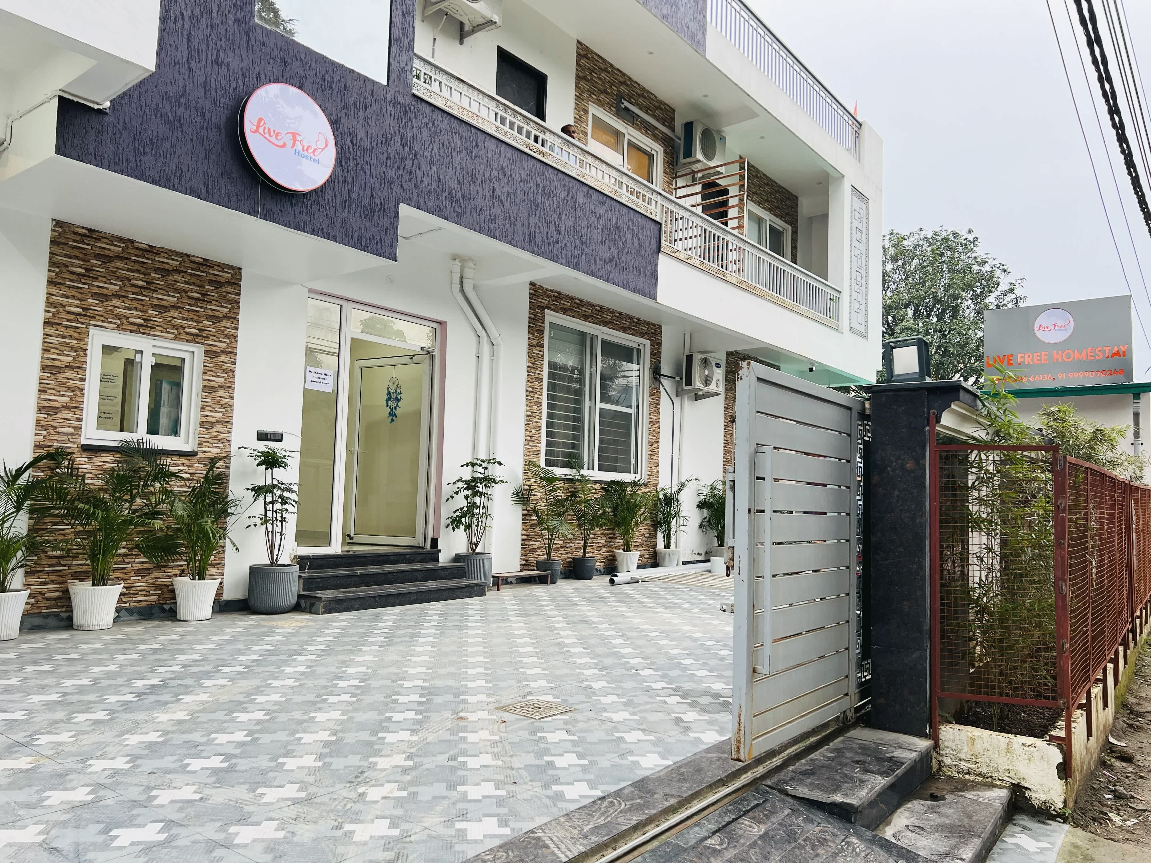 Live Free Hostel Dehradun - 데라둔