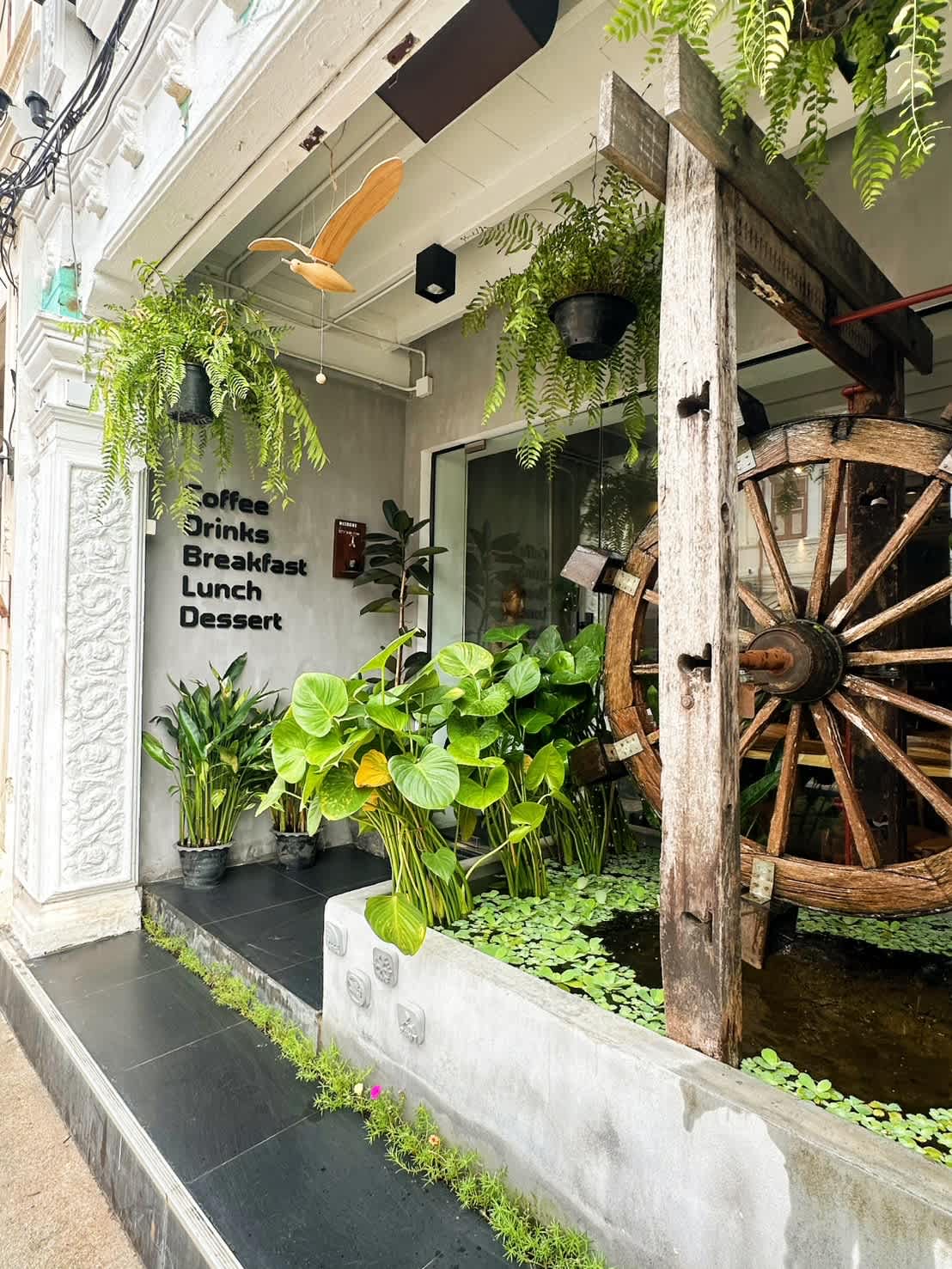 Beanstay - Phuket district, Thailand