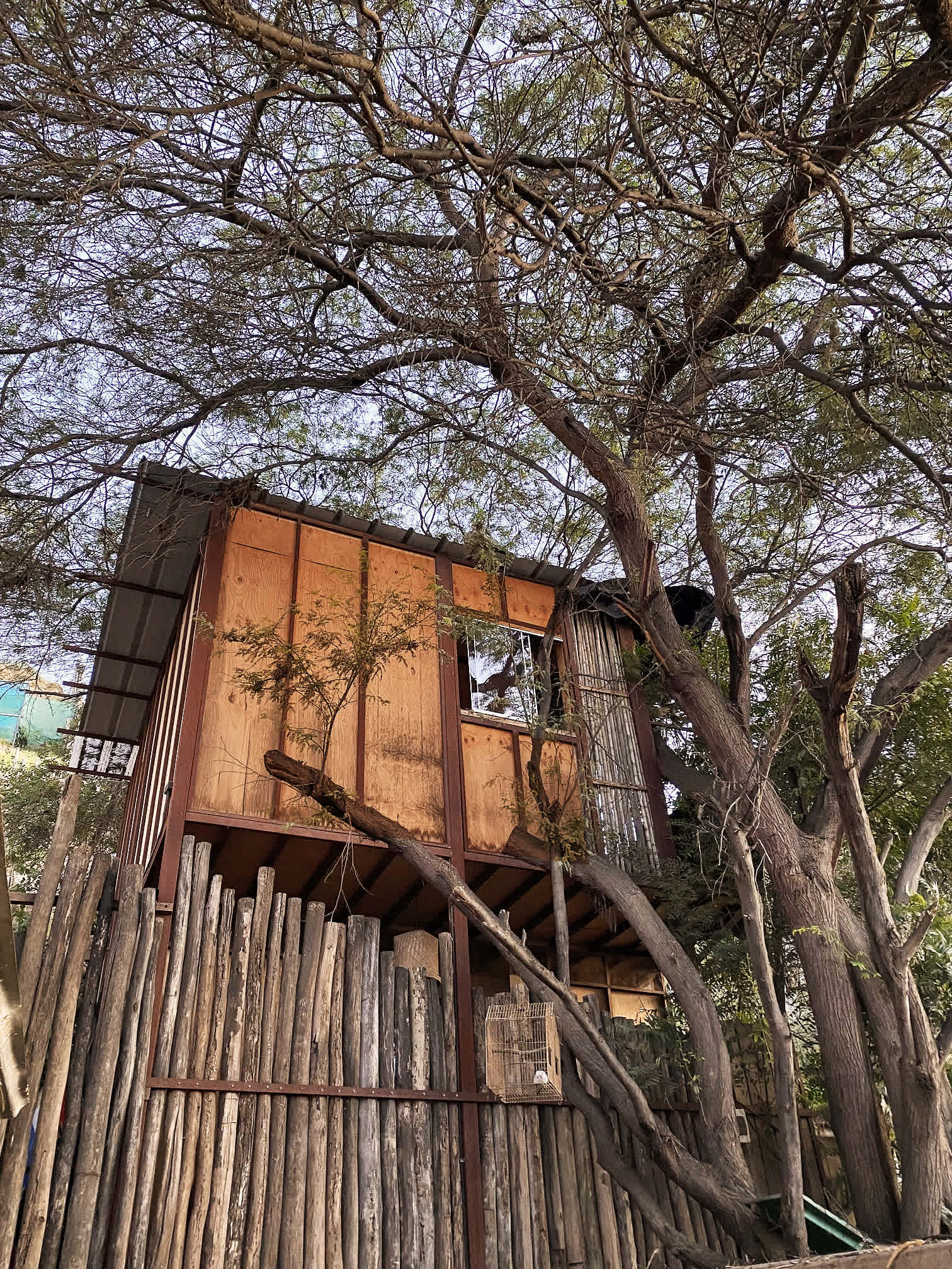 Los Asentamientos - Máncora