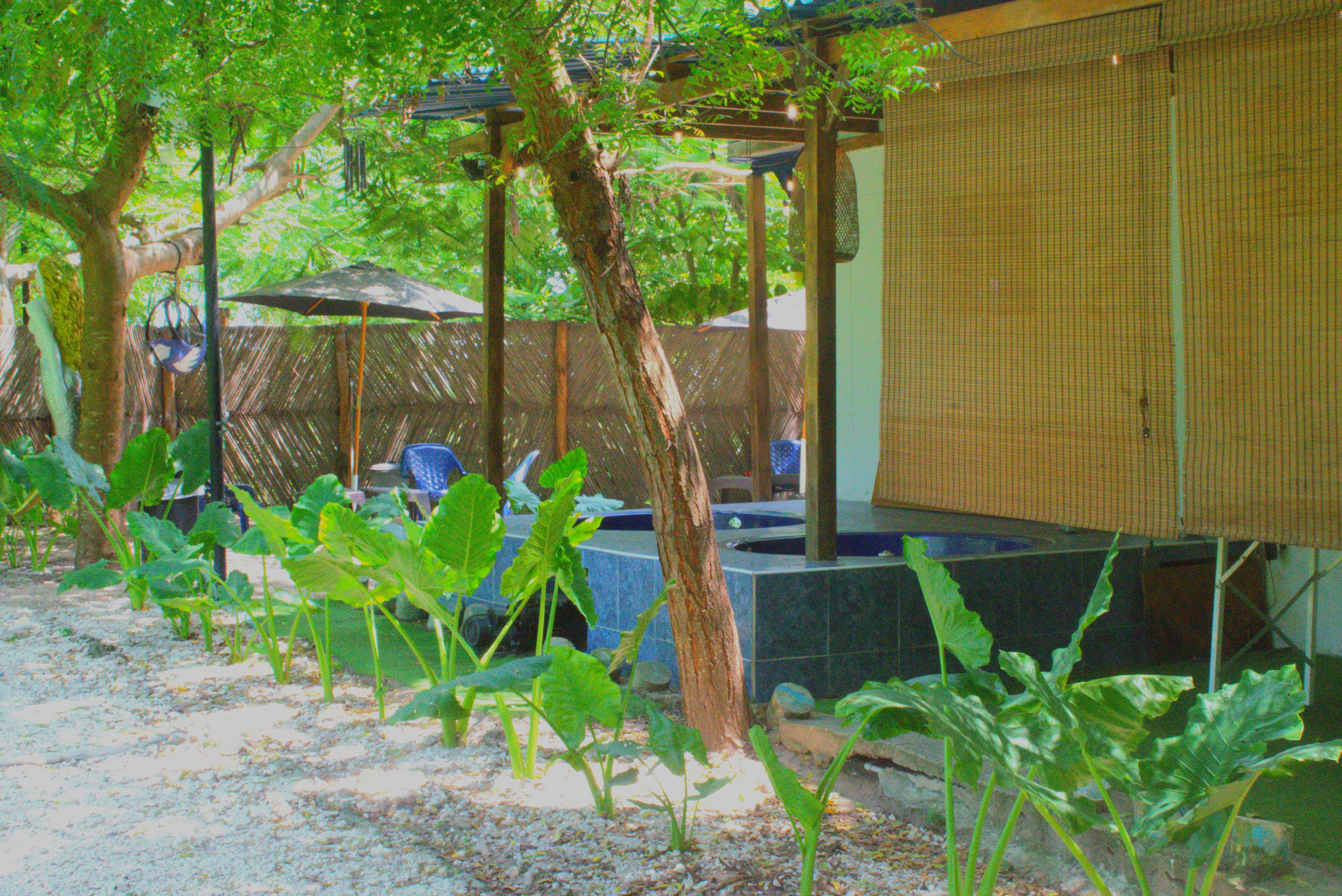 Mango Tree Island 4.20 - Bolívar