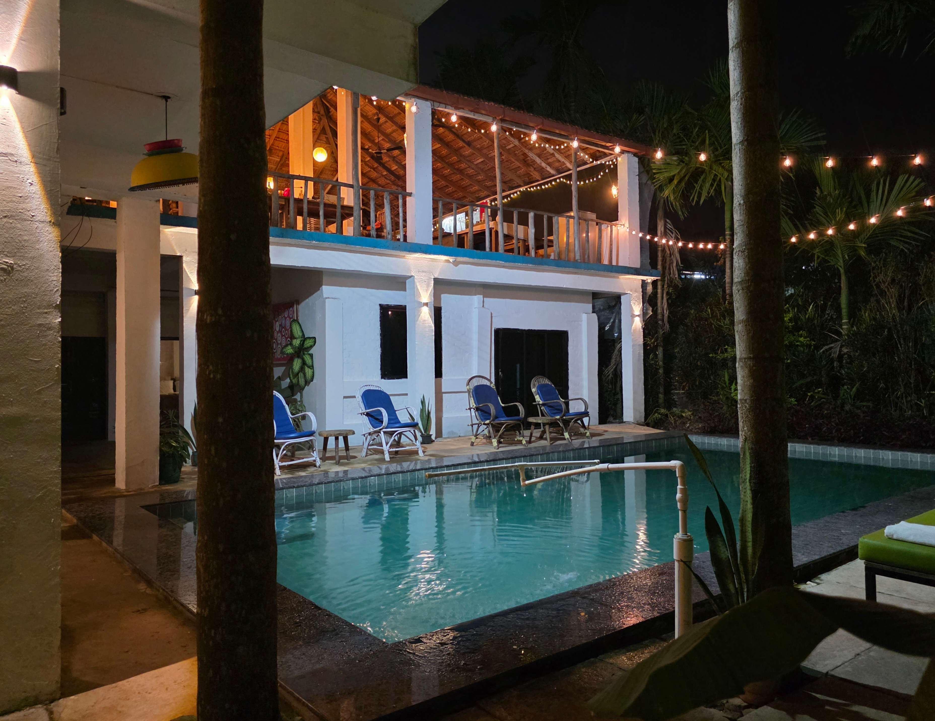 Neon Chameleon Goa - Goa