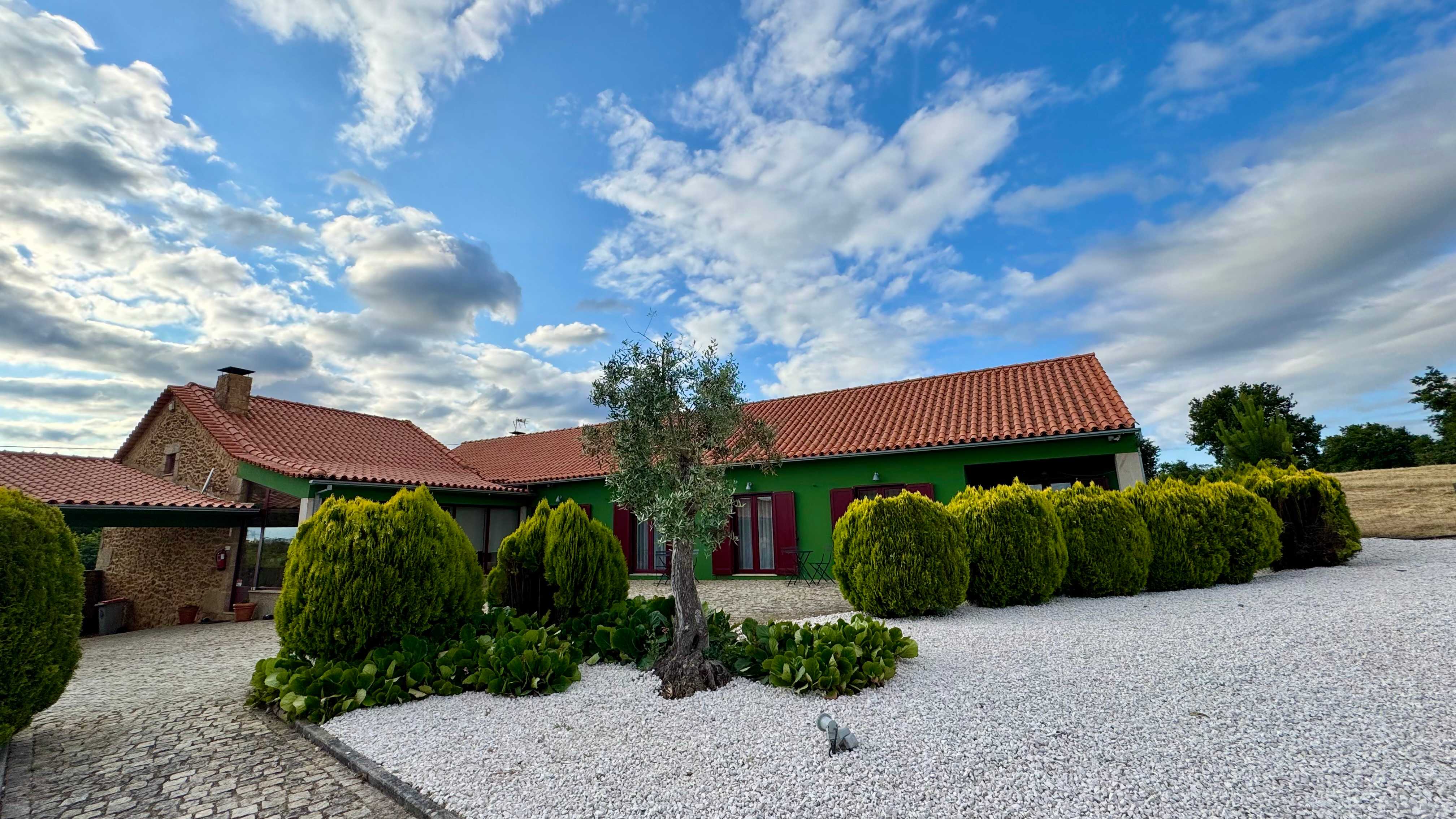 Raízes Da Vinha – Nature Experience - Seia