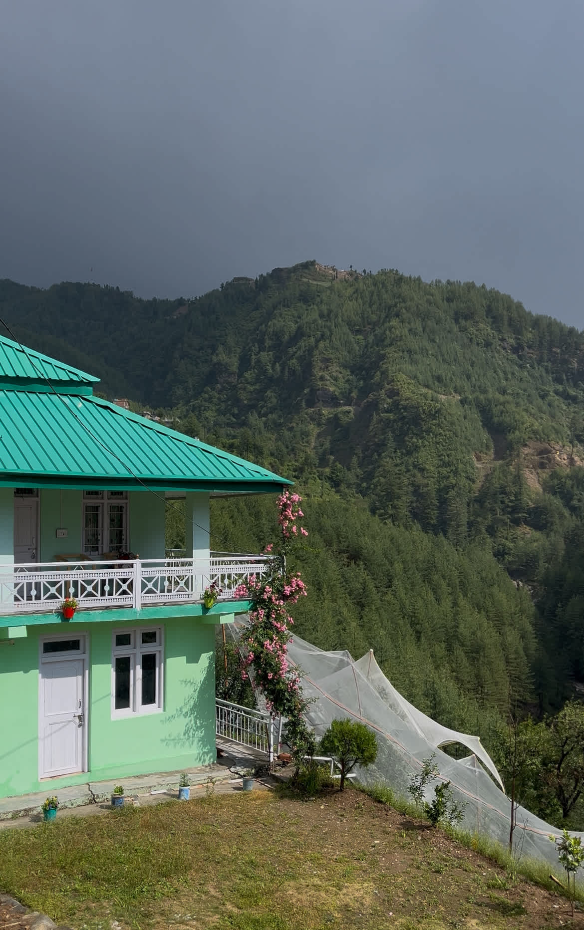 Shingrela Homestay - Mandi