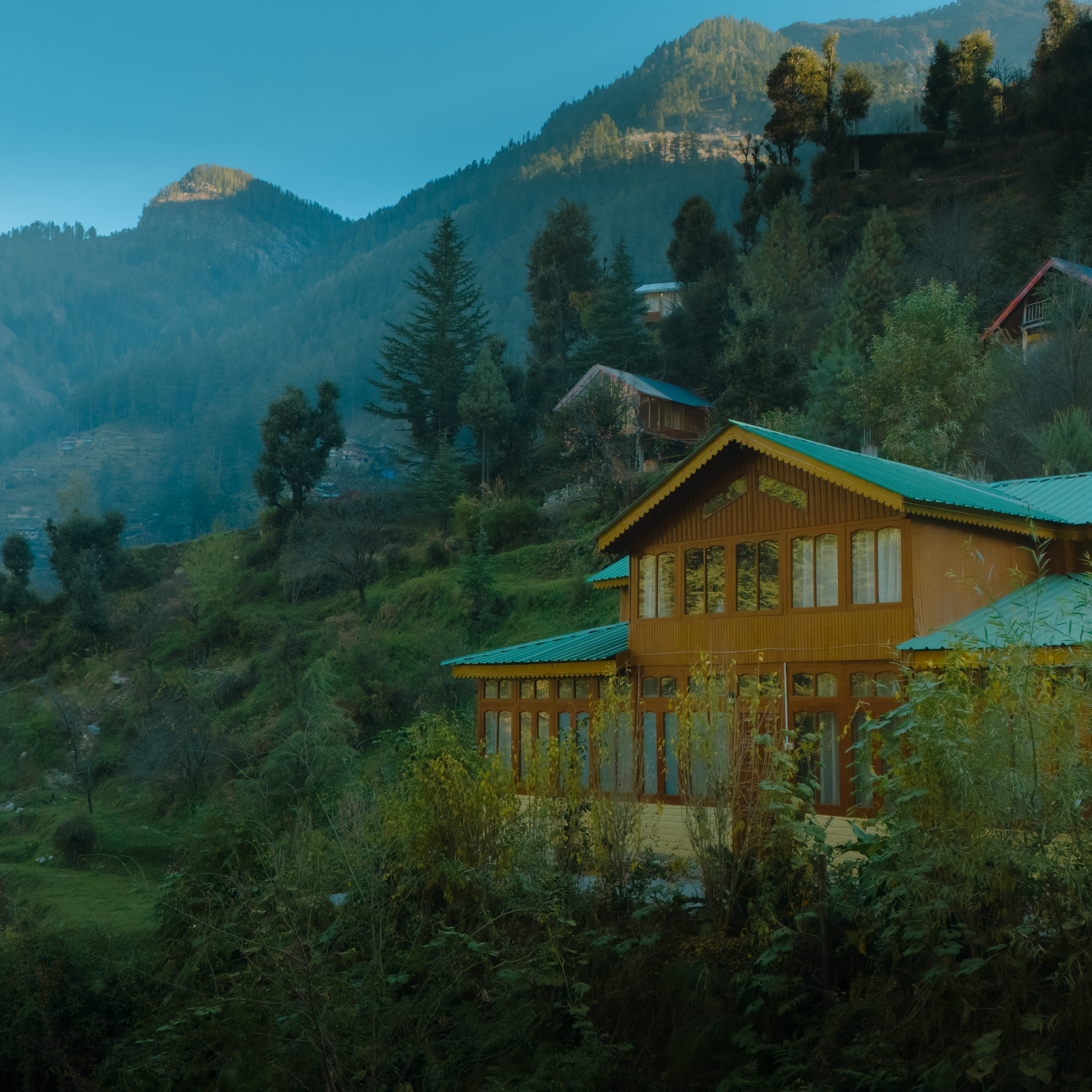 Shasha - Paused Perfect - Jibhi