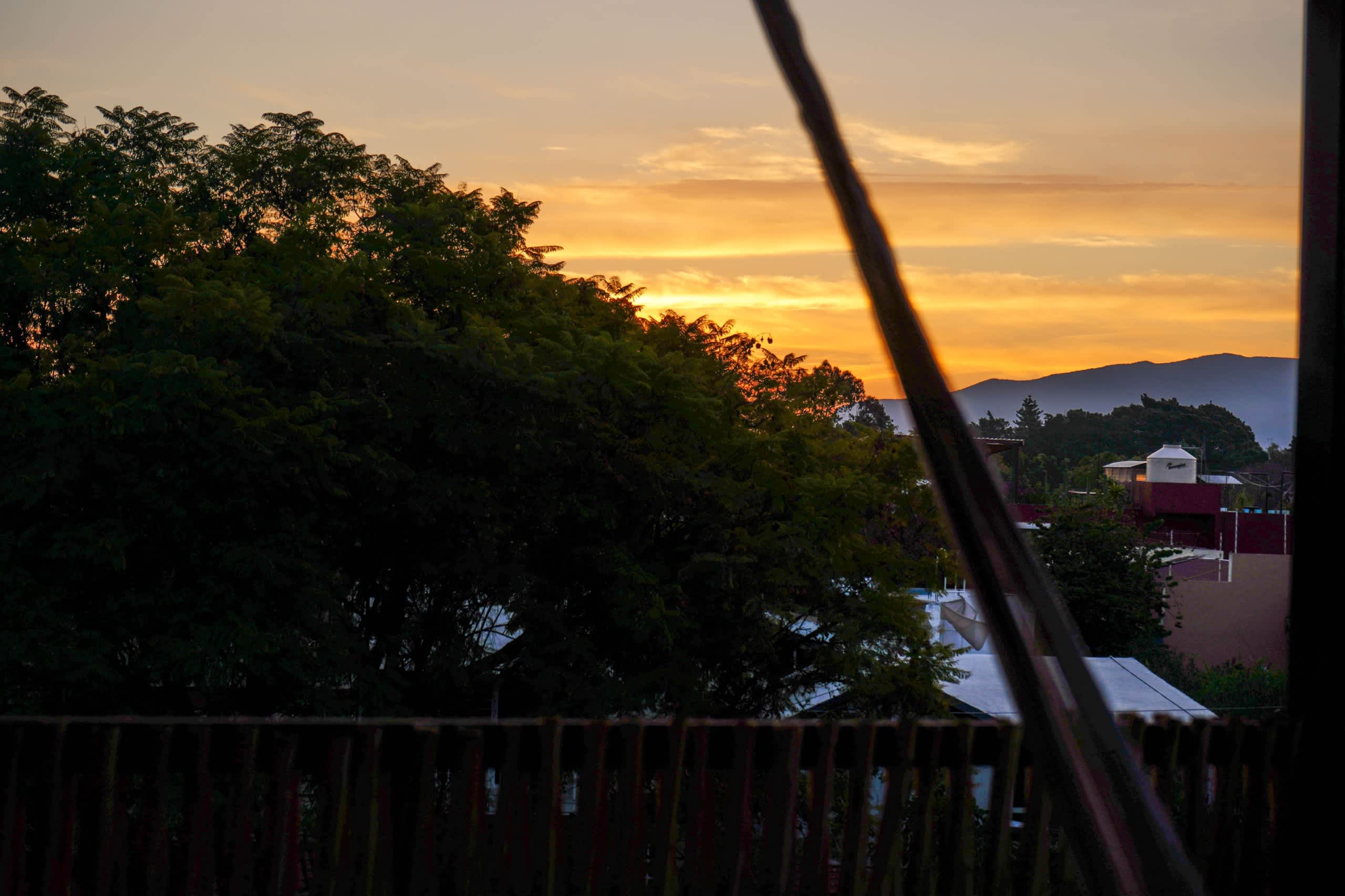 La Casa Del Arbol - Oaxaca, Mexico