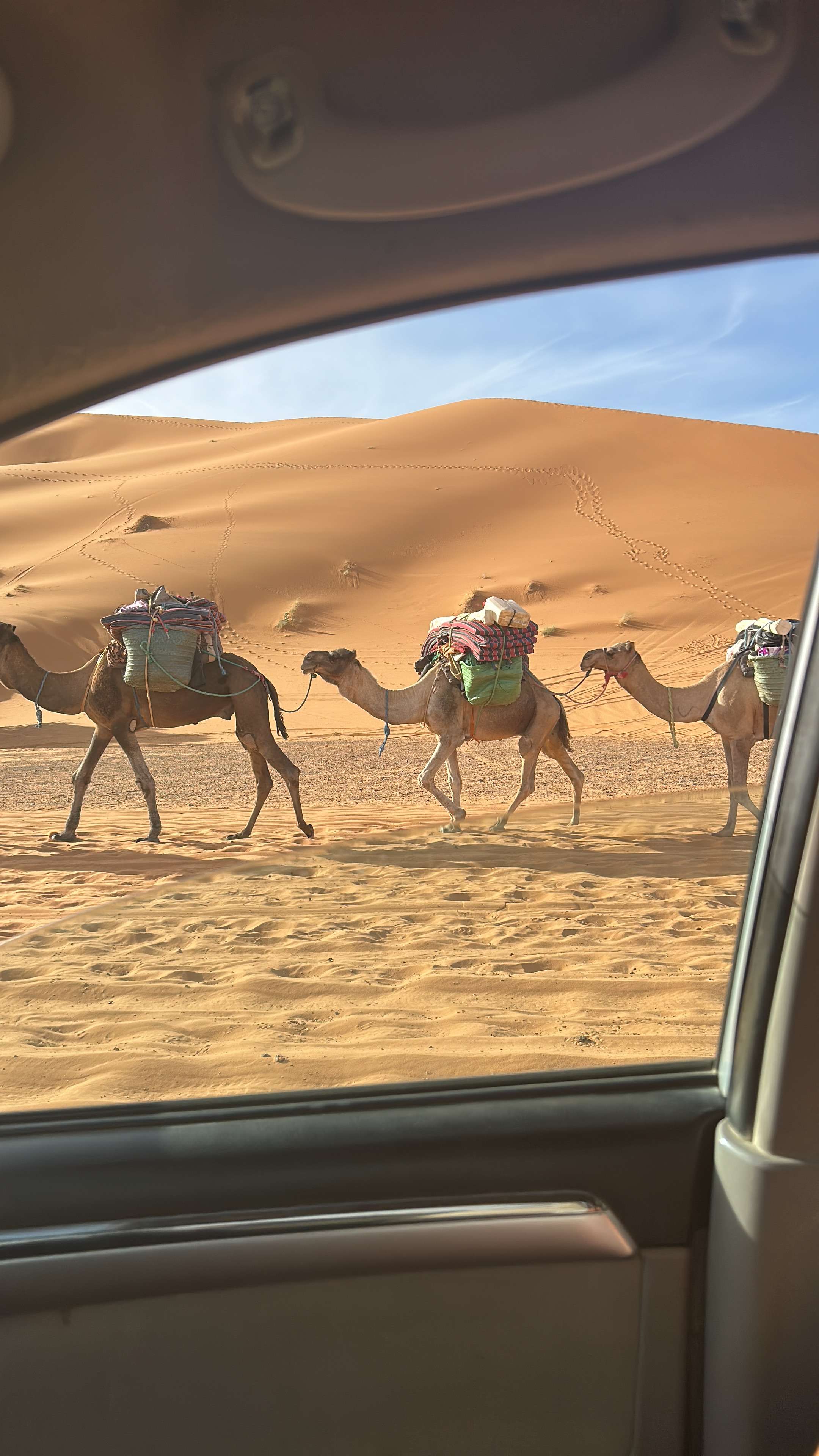 Hostel La Liberte Merzouga - Merzouga