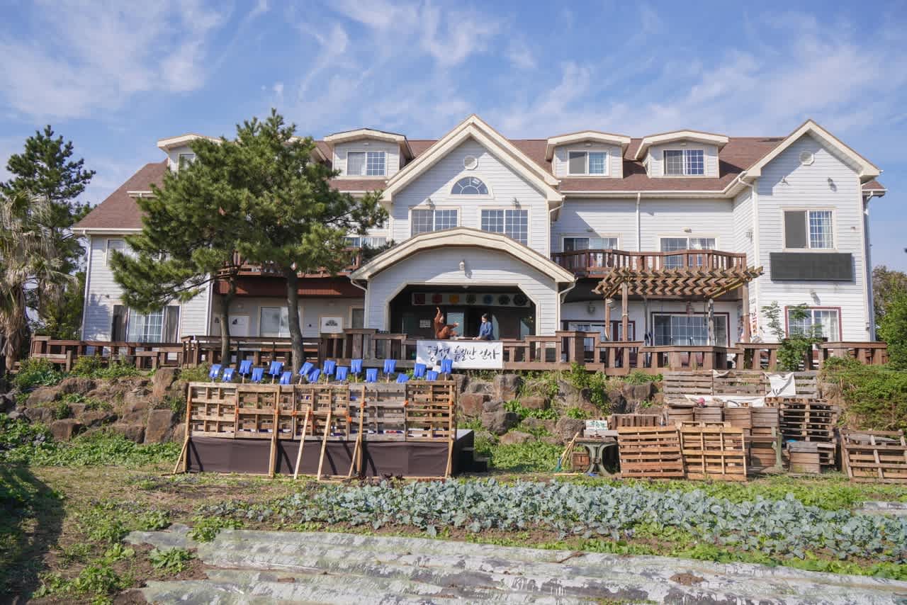 Bucket Jeju - Jeju-do