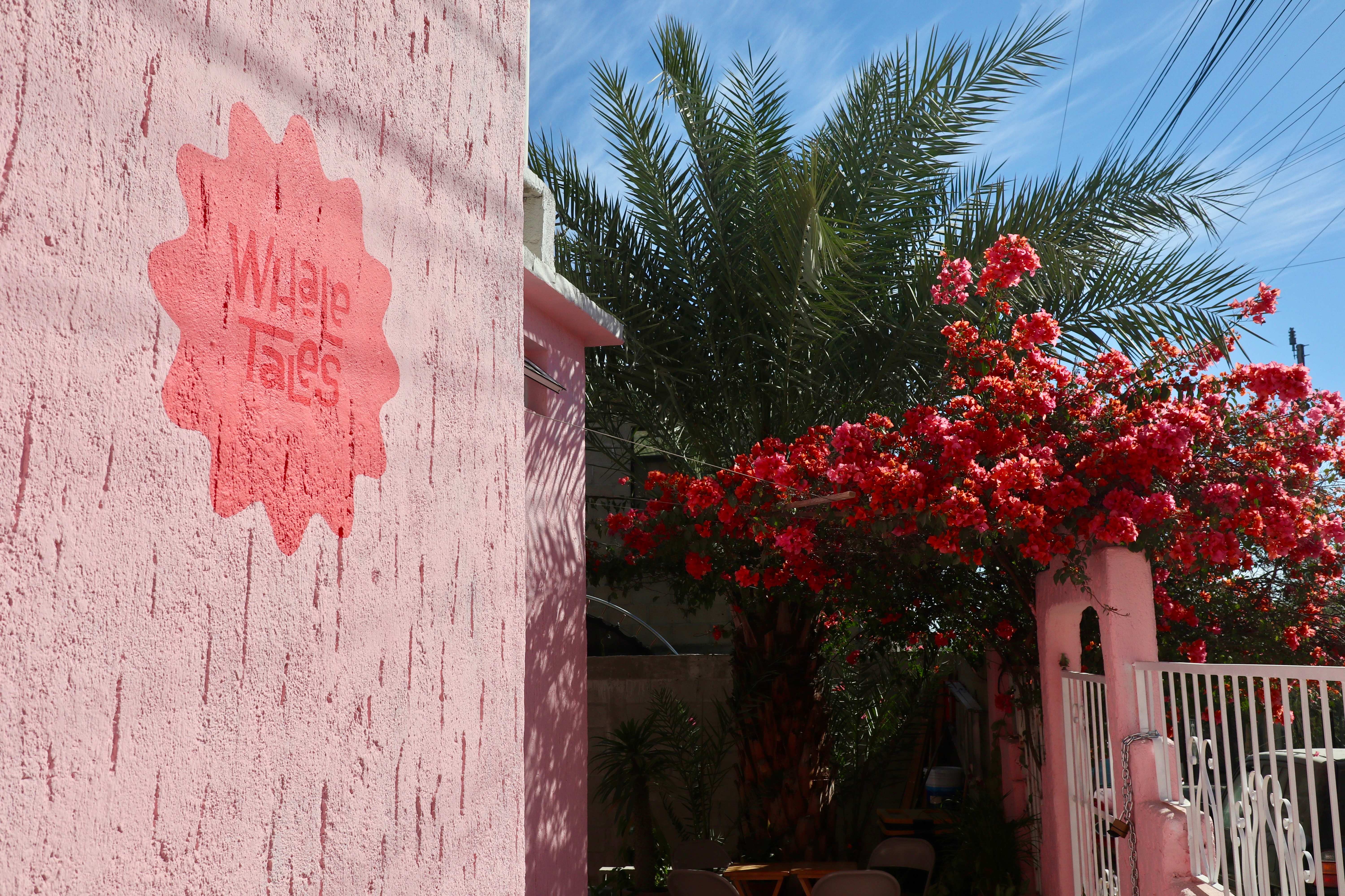 Whale Tales Hostel - San José del Cabo