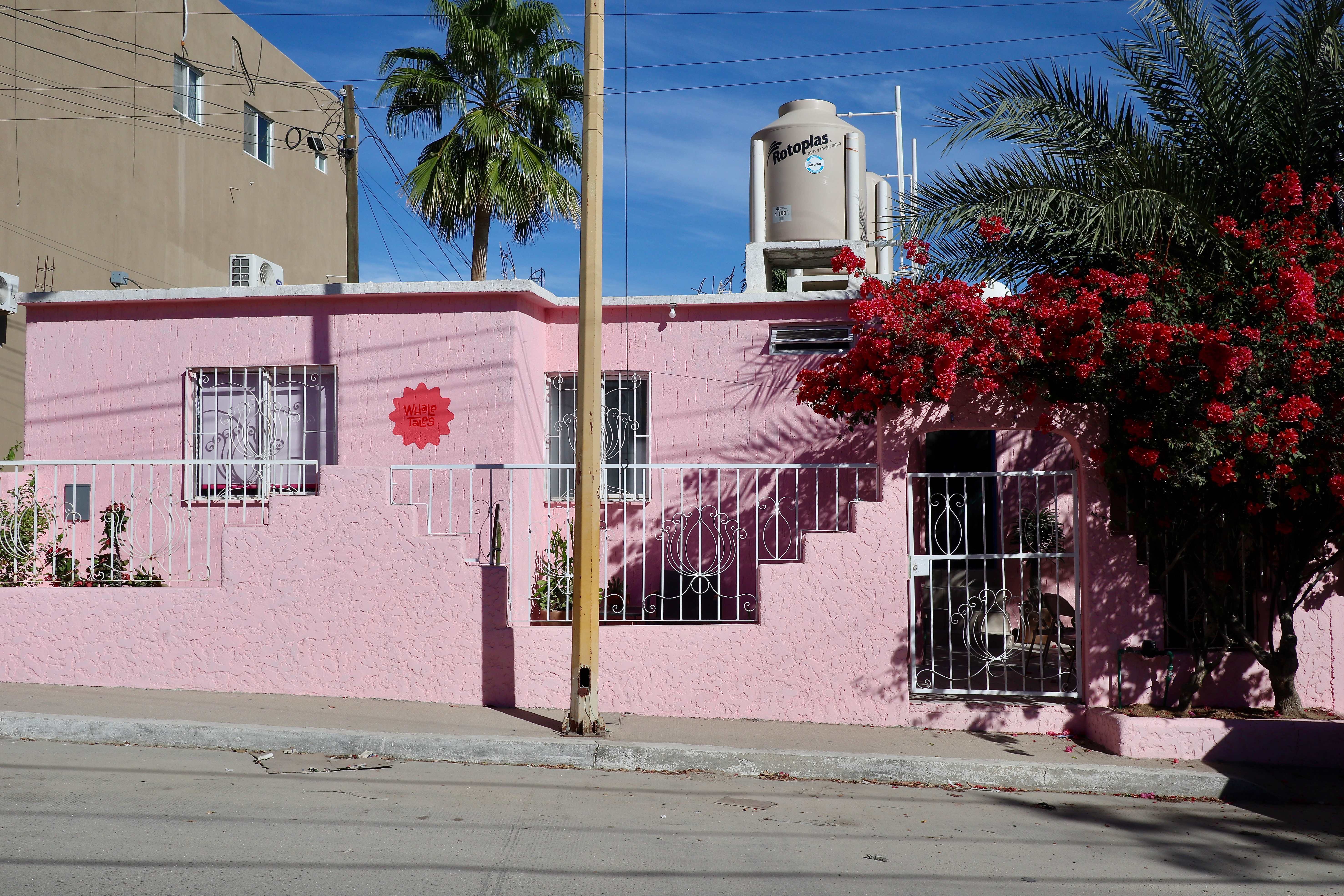 Whale Tales Hostel - San José del Cabo