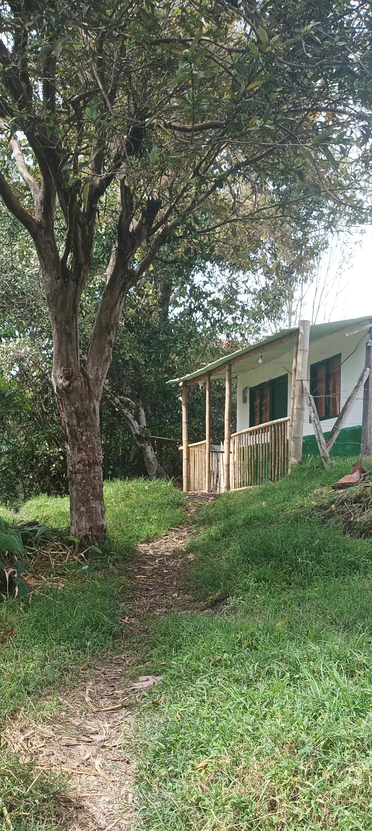 Alma Paisa - Salento