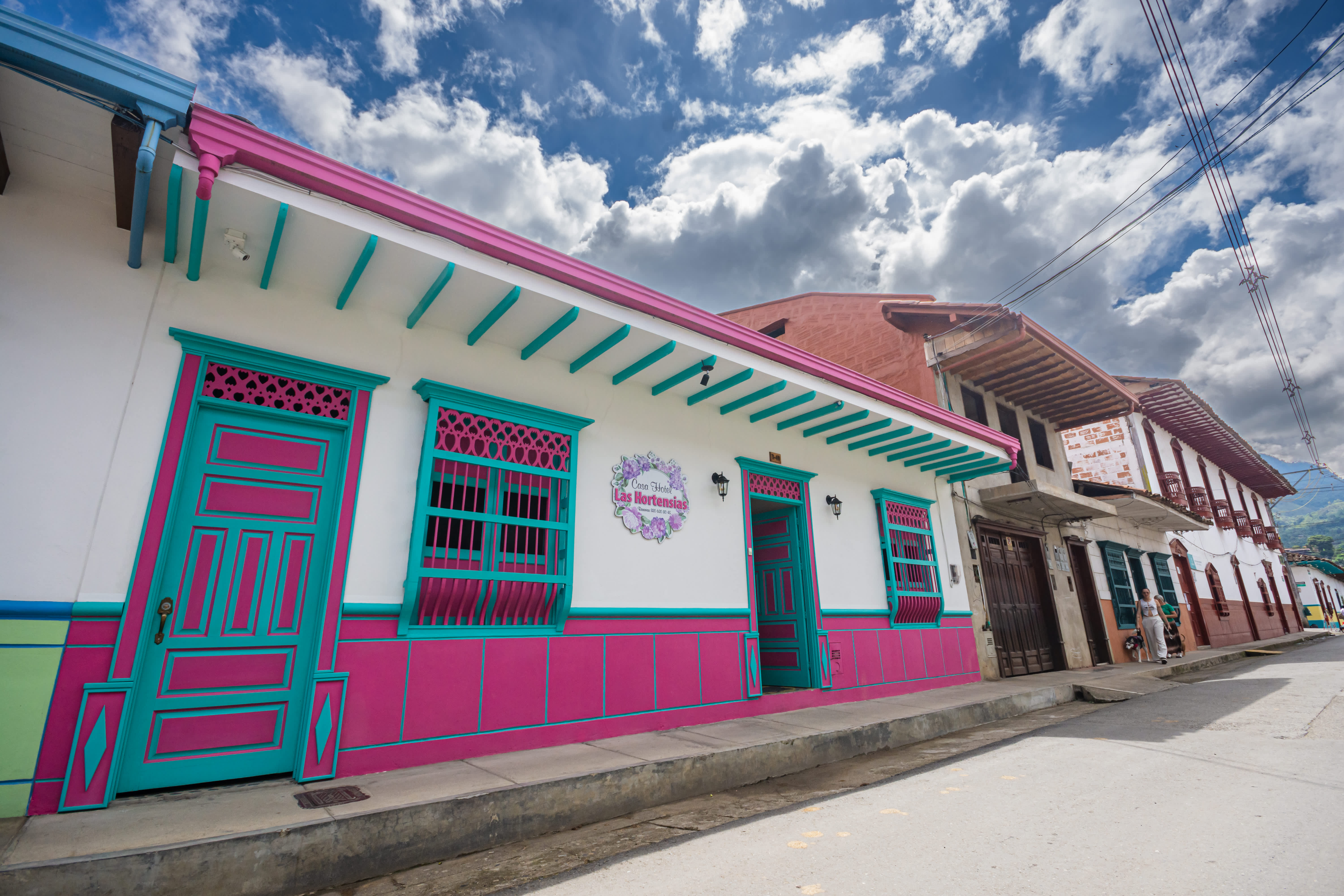 Casa Hotel Las Hortensias - Jardín